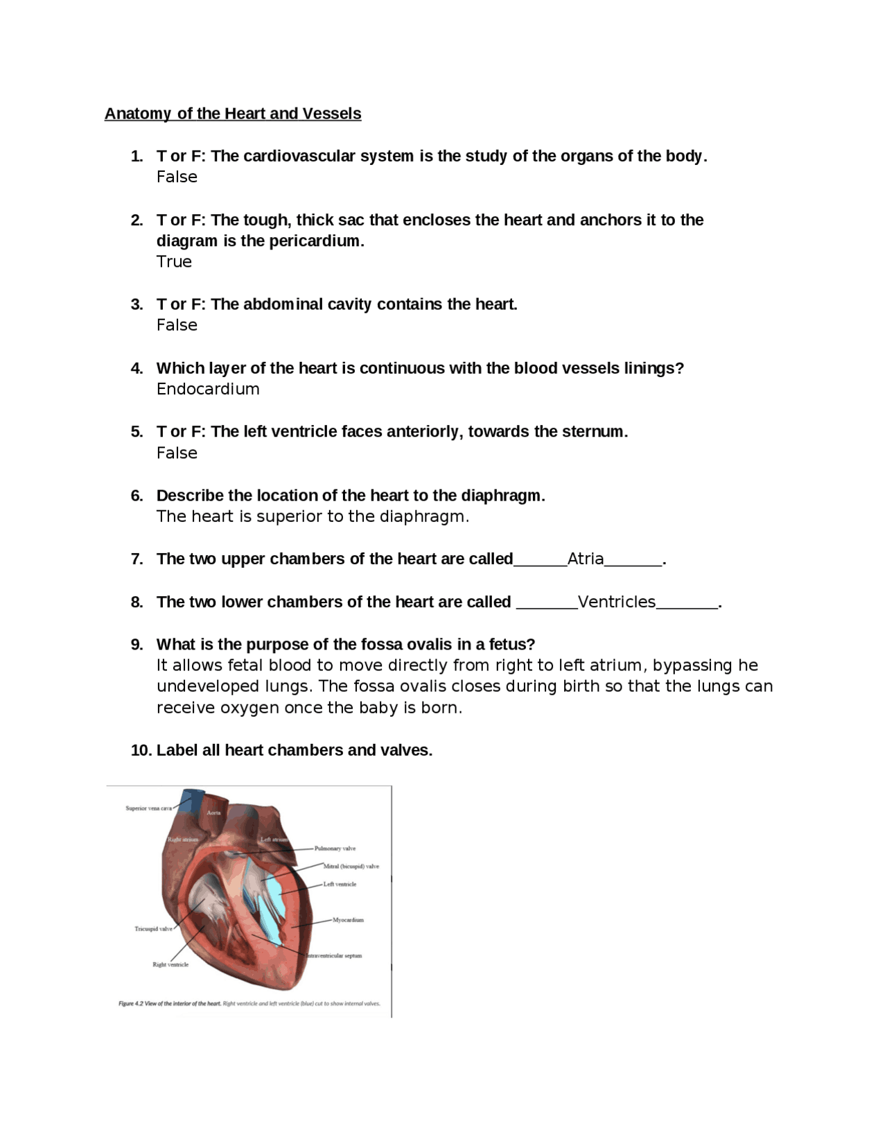 BIOD 152 AP Mod 4 Questions: Anatomy of the Heart and Vessels SUMMER ...