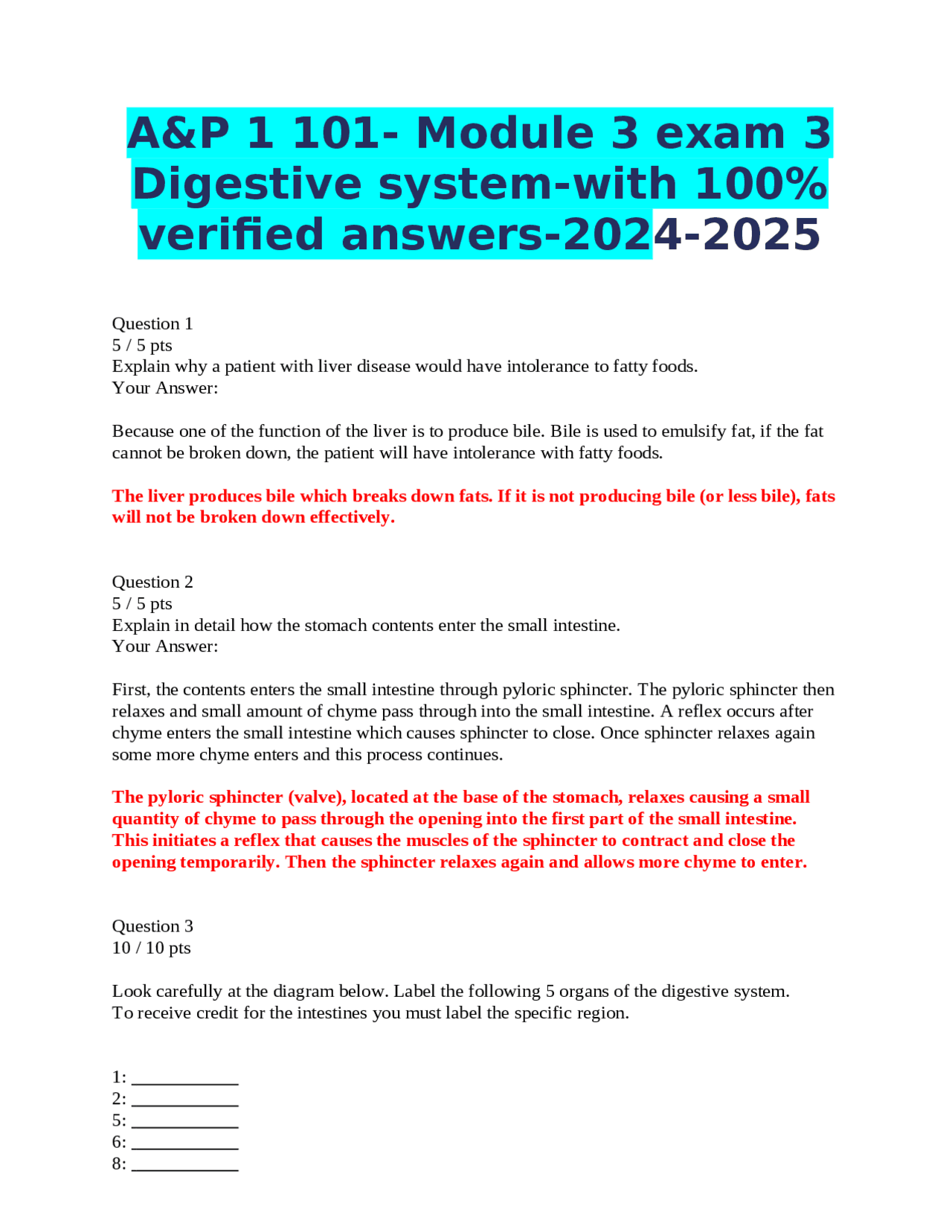 A&P 1 101- Module 3 exam 3 Digestive system-with 100% verified answers ...