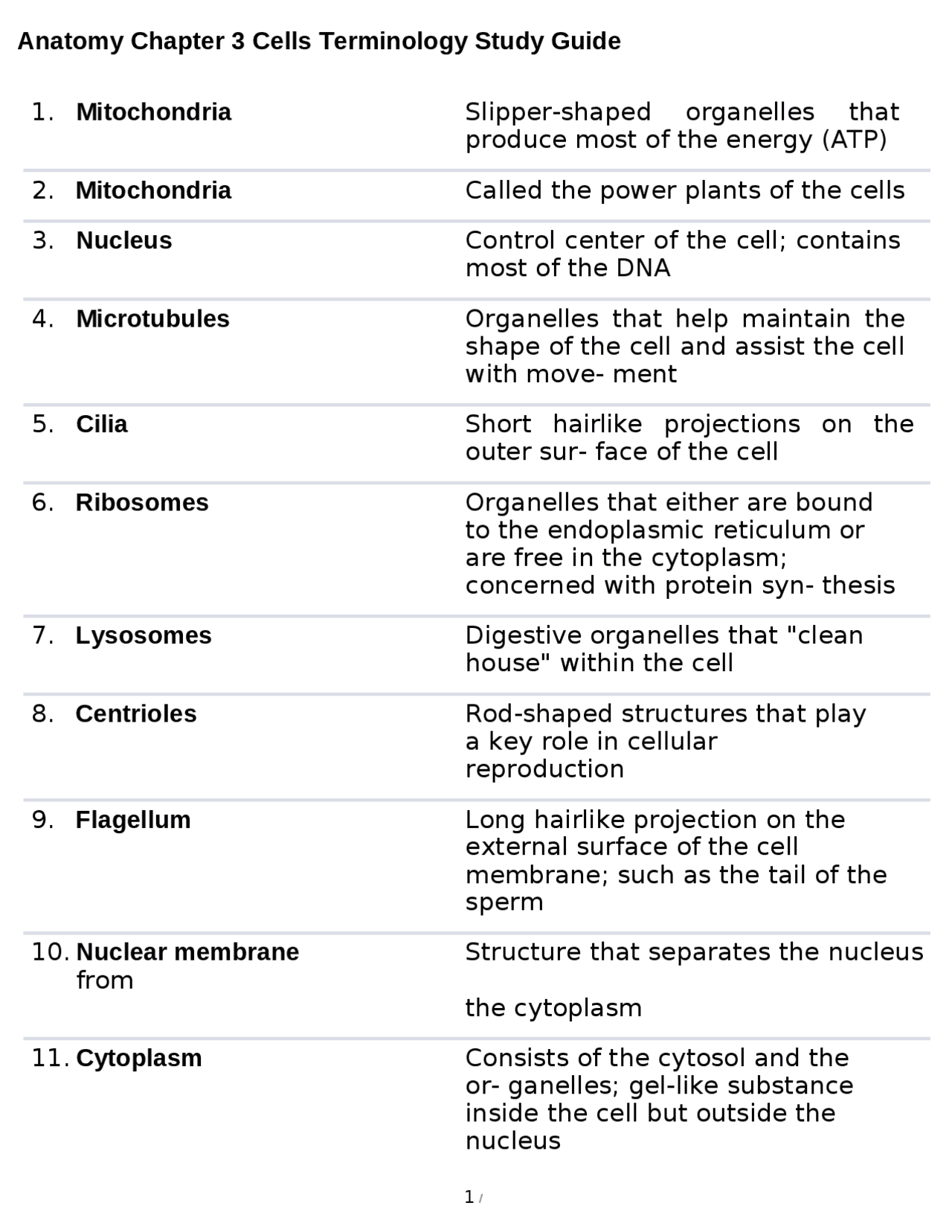 Anatomy Chapter 3 Cells Terminology Study Guide | Study Guides ...