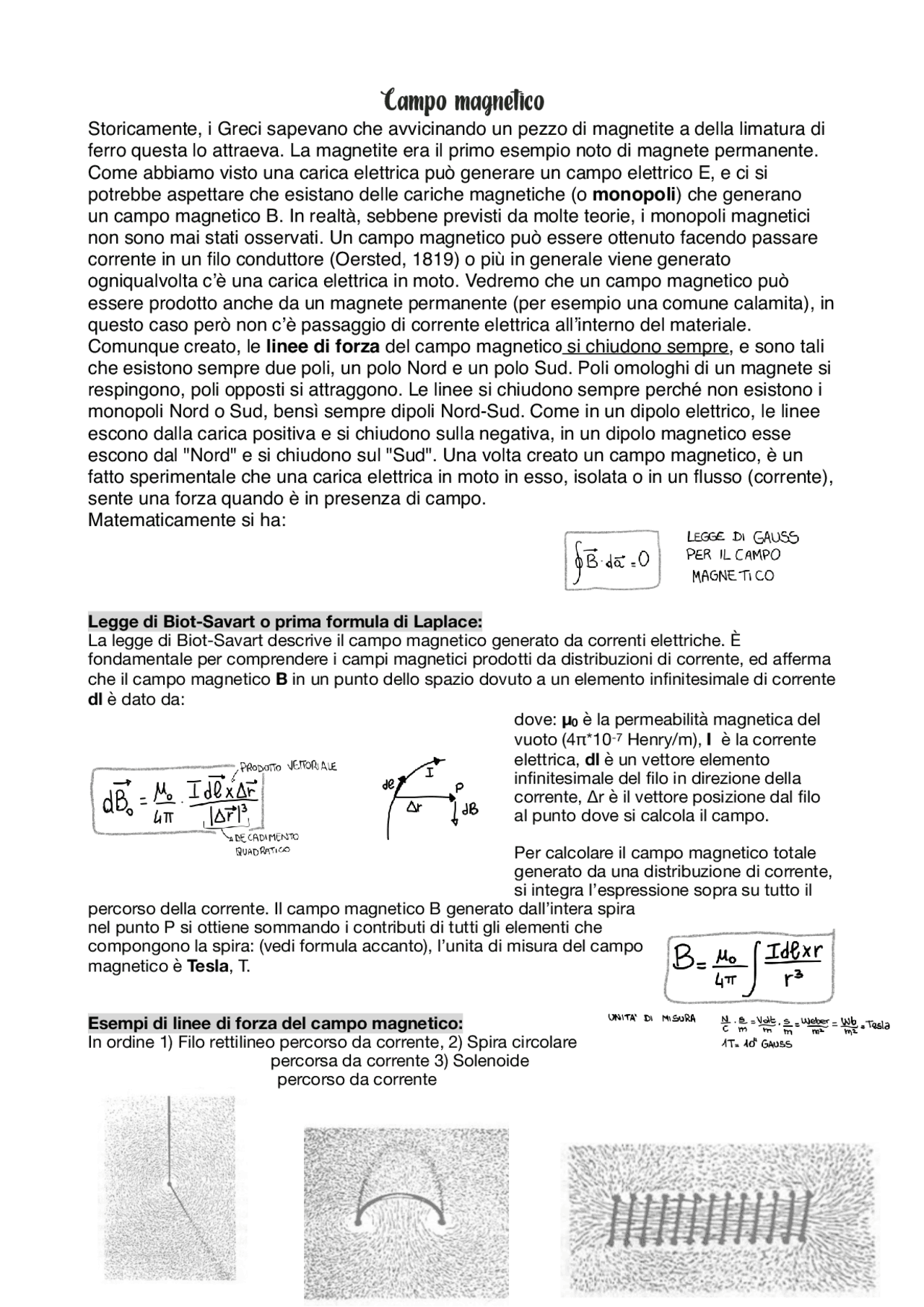 Campo magnetico, forza di Lorentz | Appunti di Fisica | Docsity