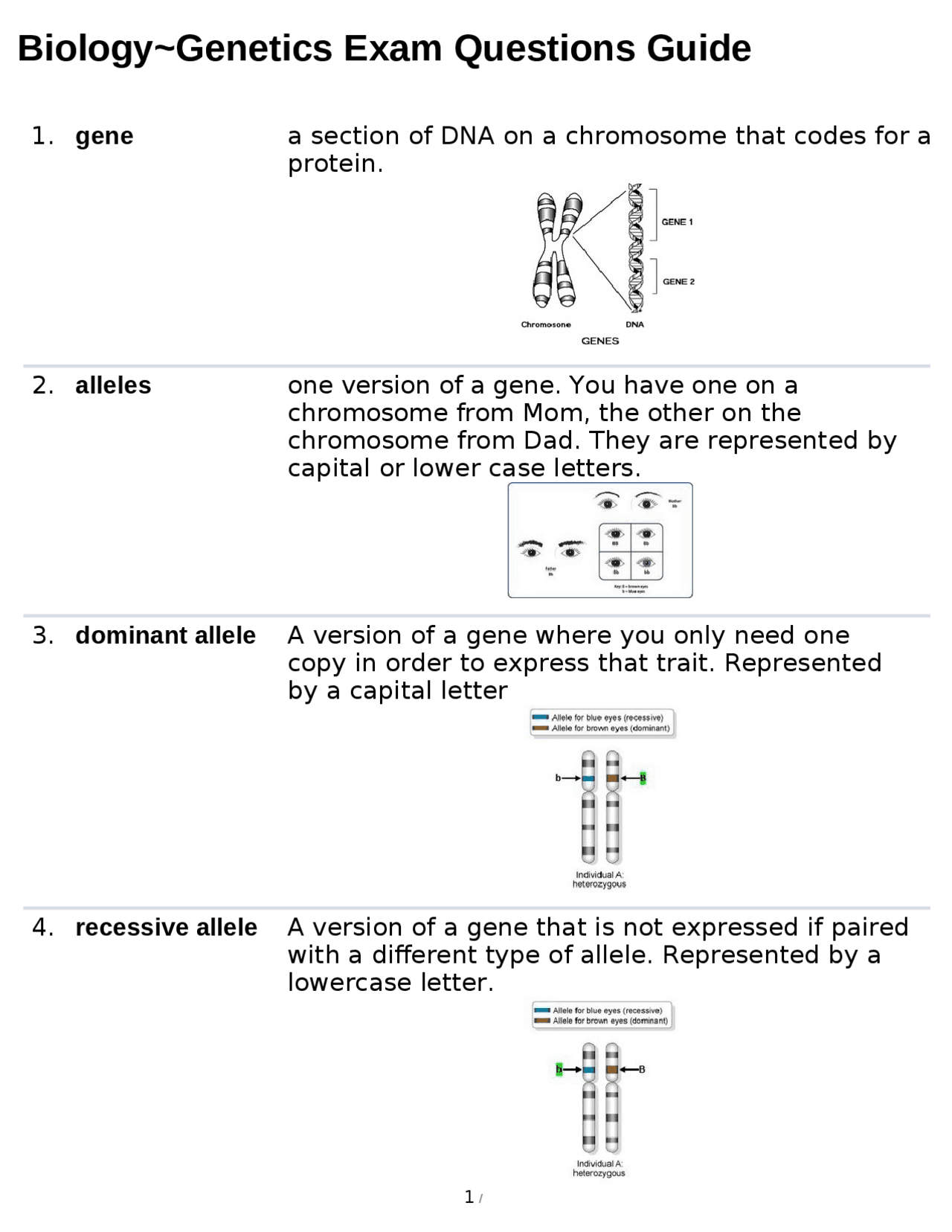 Genetics Biology Questions