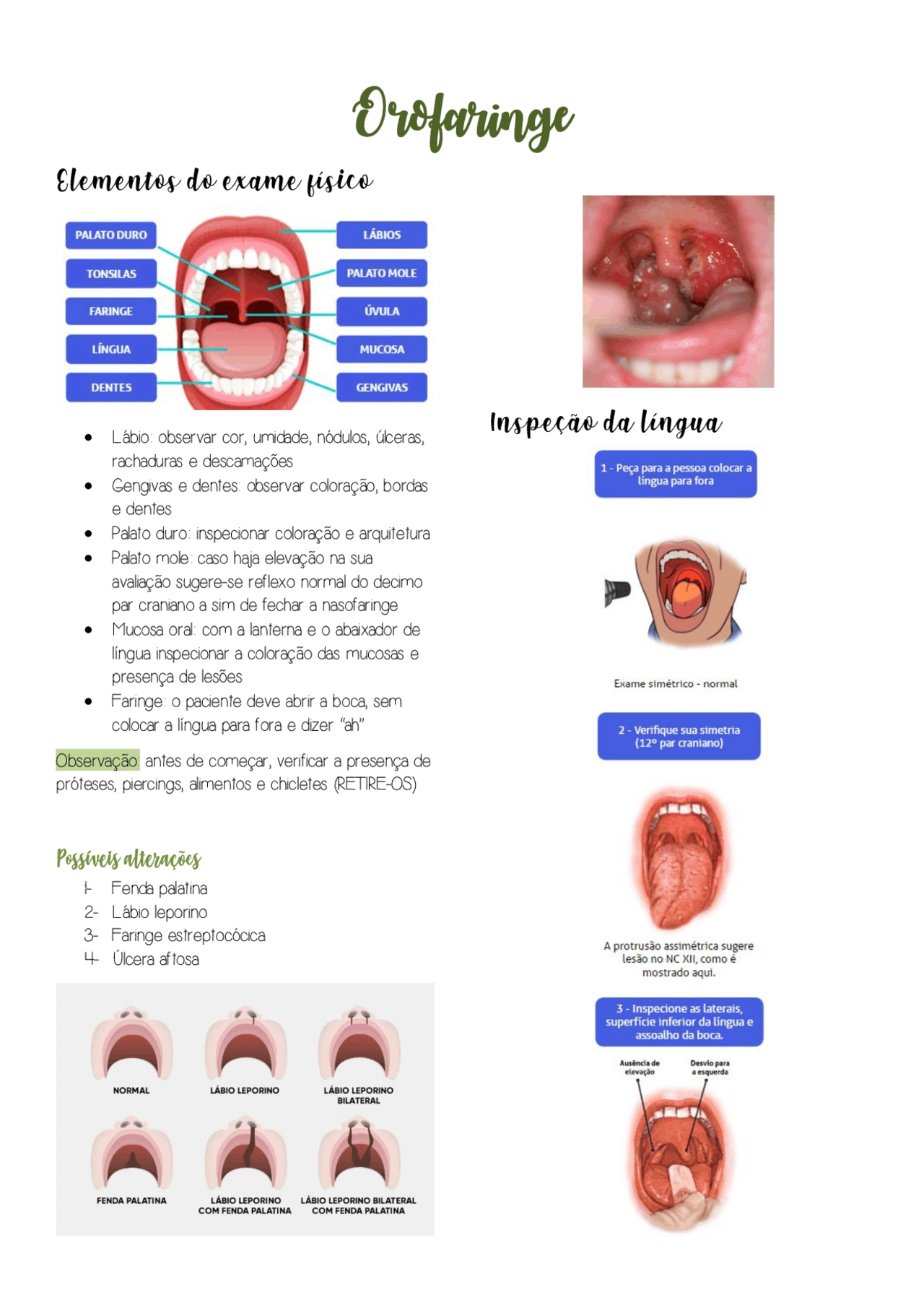 Resumo de Semiologia (Exame físico da orofaringe) | Esquemas Semiologia ...