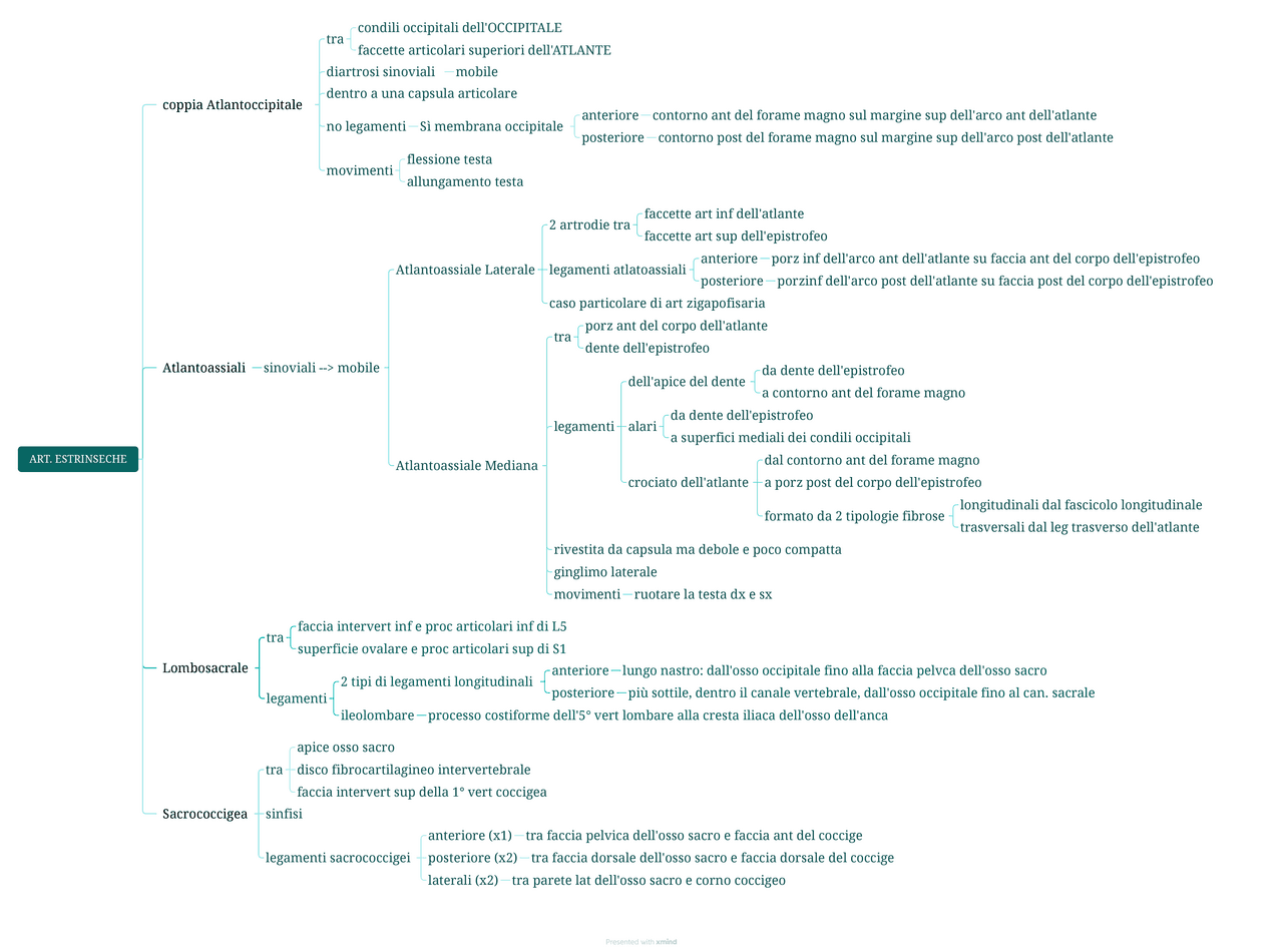 Articolazioni estrinseche della colonna vertebrale | Schemi e mappe concettuali di Anatomia I ...