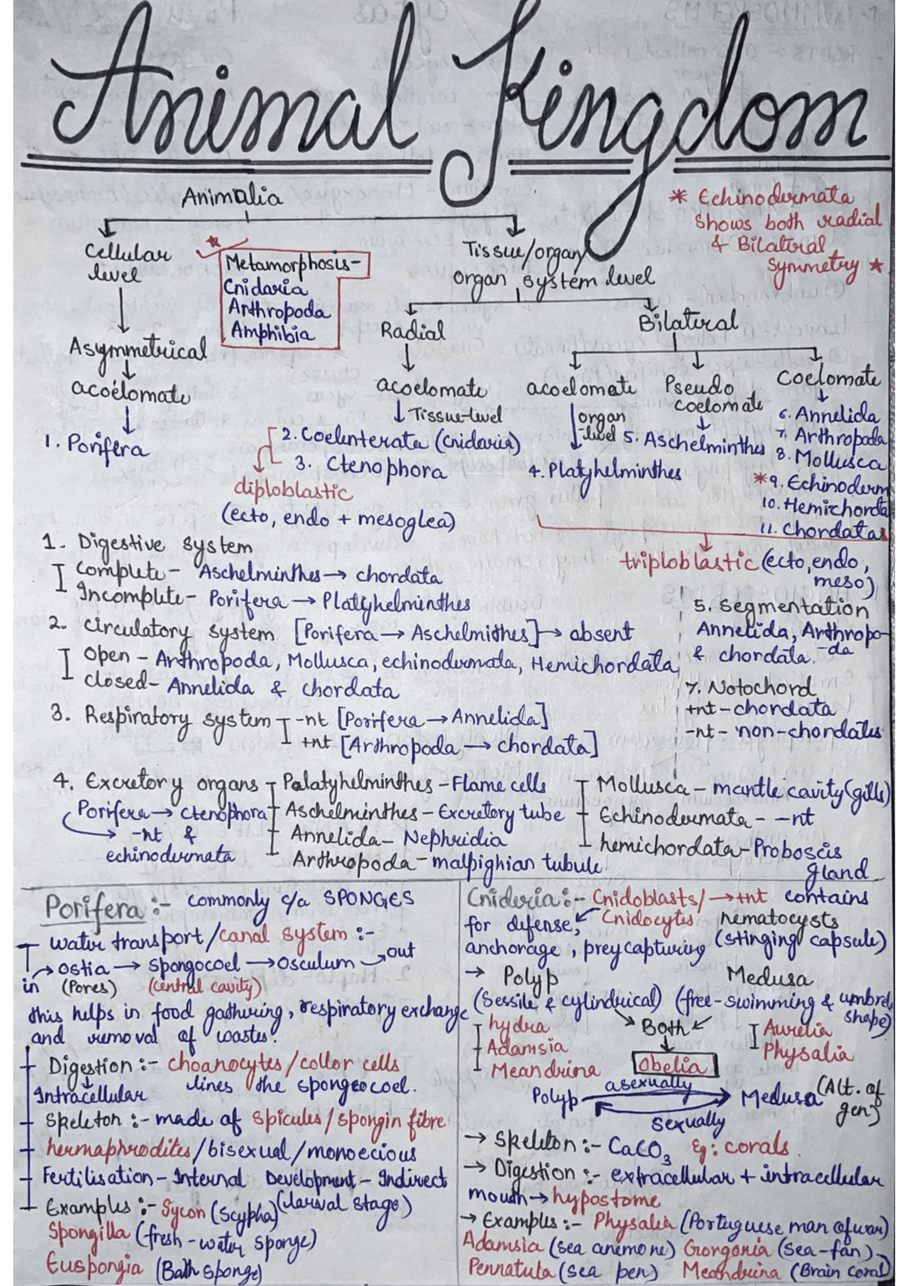ANIMAL KINGDOM- Complete chapter notes for revision | Cheat Sheet ...