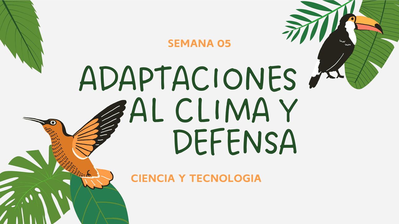 ADAPTACIONES AL CLIMA Y DEFENSA | Apuntes de Ciencias | Docsity