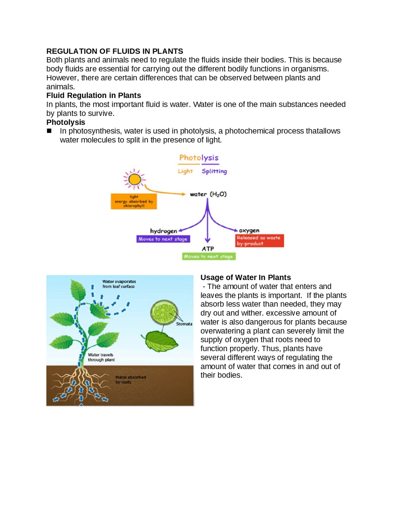 Regulation of Fluids in Plants | Study notes Biology | Docsity