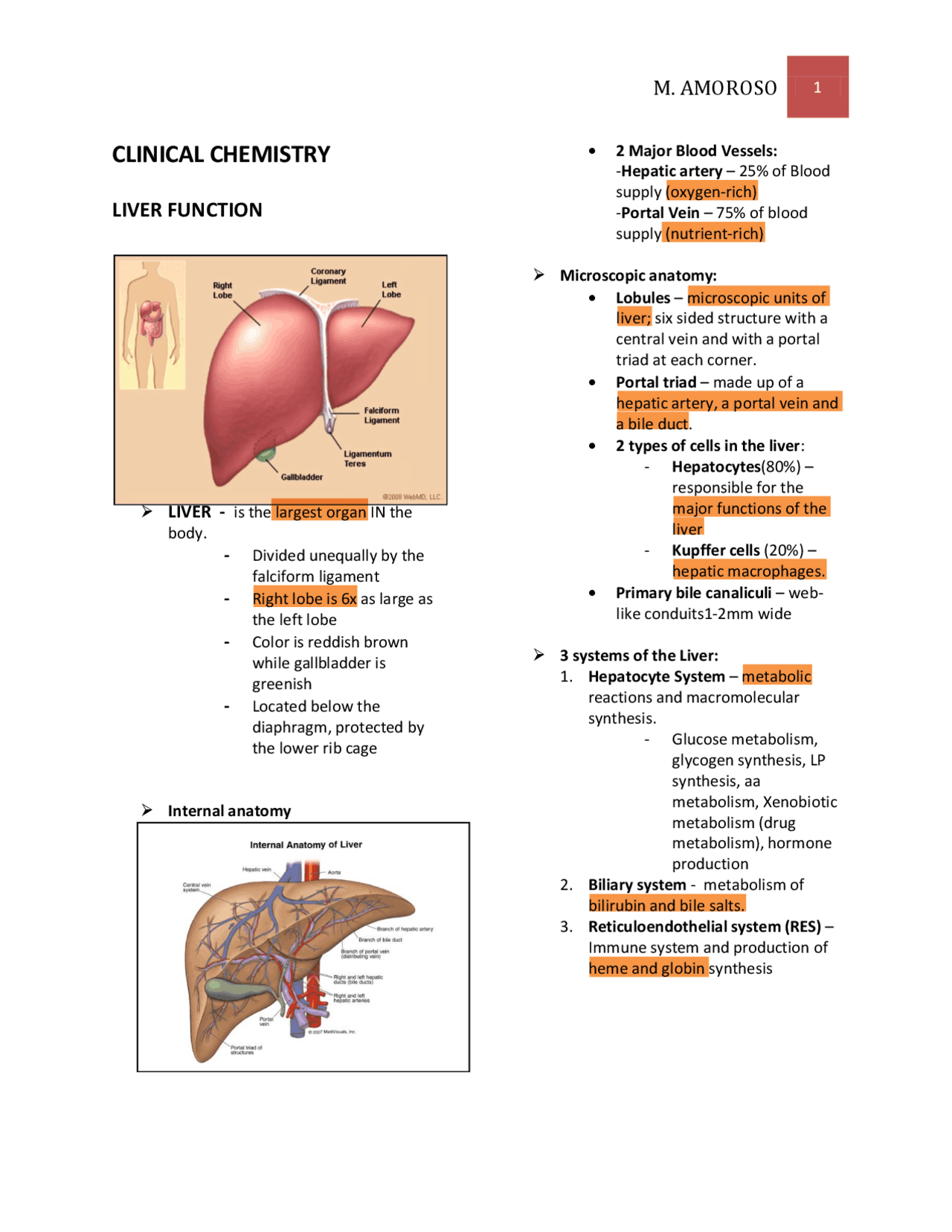 Clinical Chemistry Liver Function | Summaries Applied Chemistry | Docsity