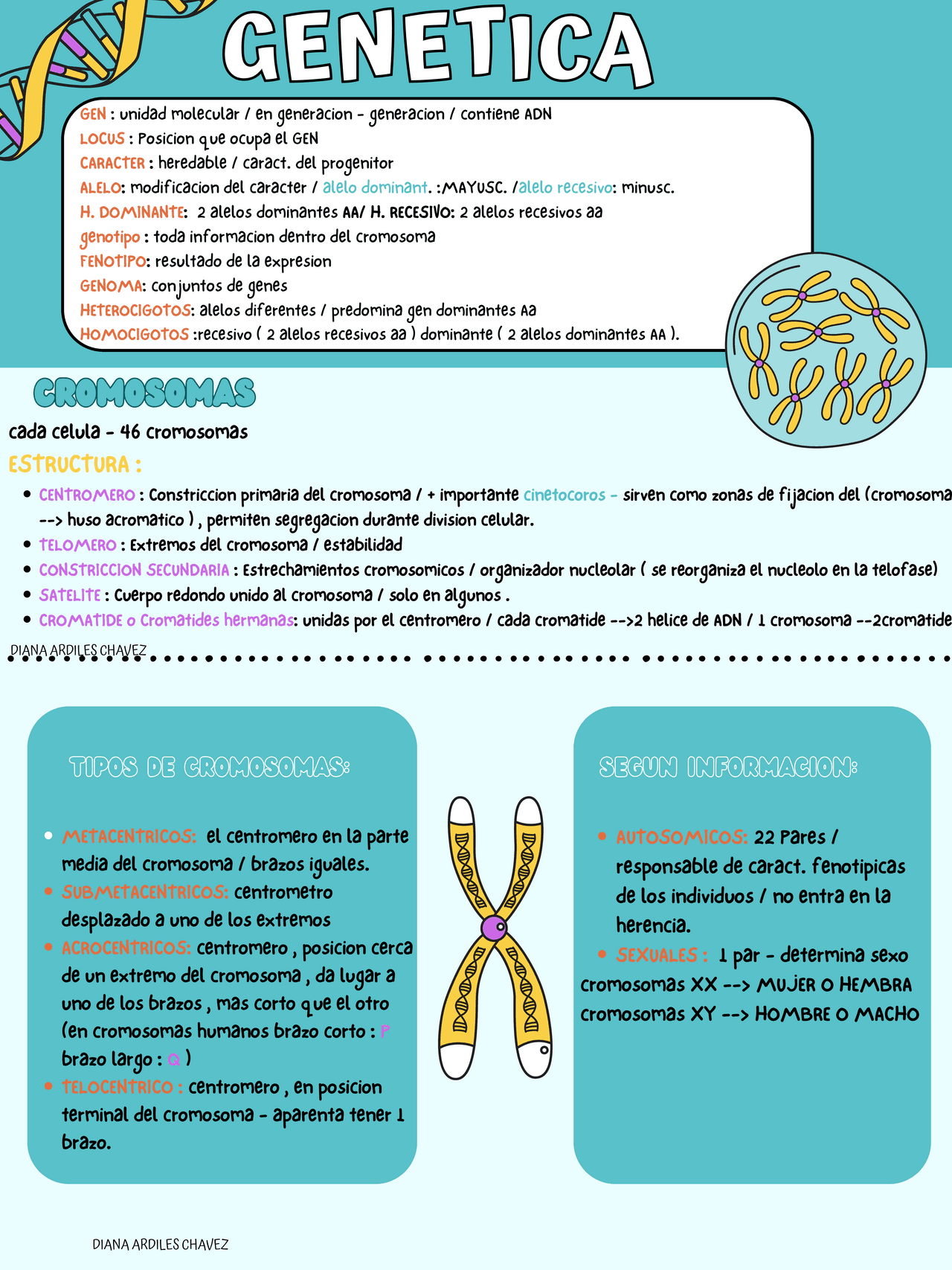 Alelos Dominantes Y Recesivos