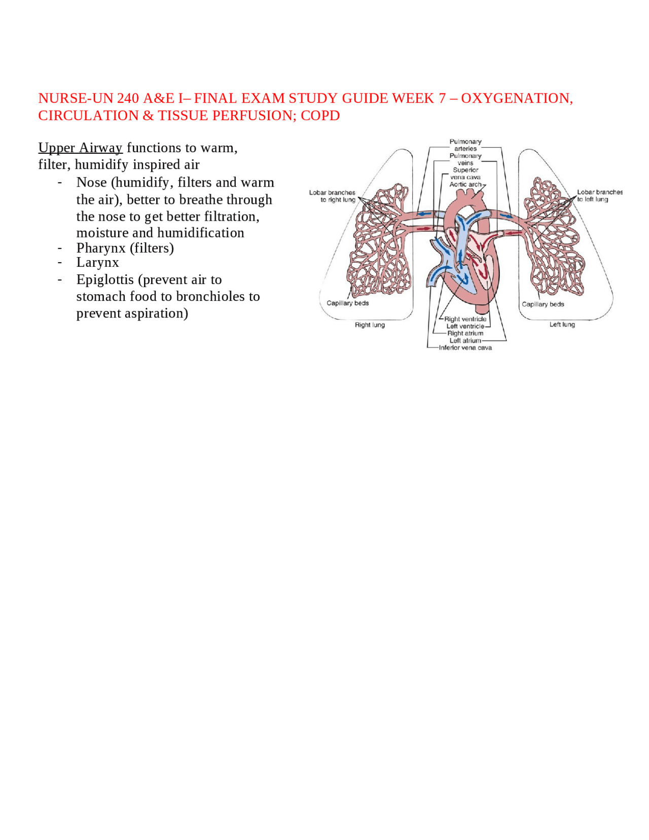 NURSE-UN 240 A&E I– FINAL EXAM STUDY GUIDE WEEK 7 – OXYGENATION ...