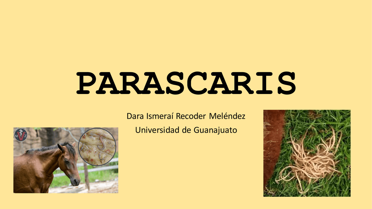 Presentación de los distintos parasitos en animales domésticos ...