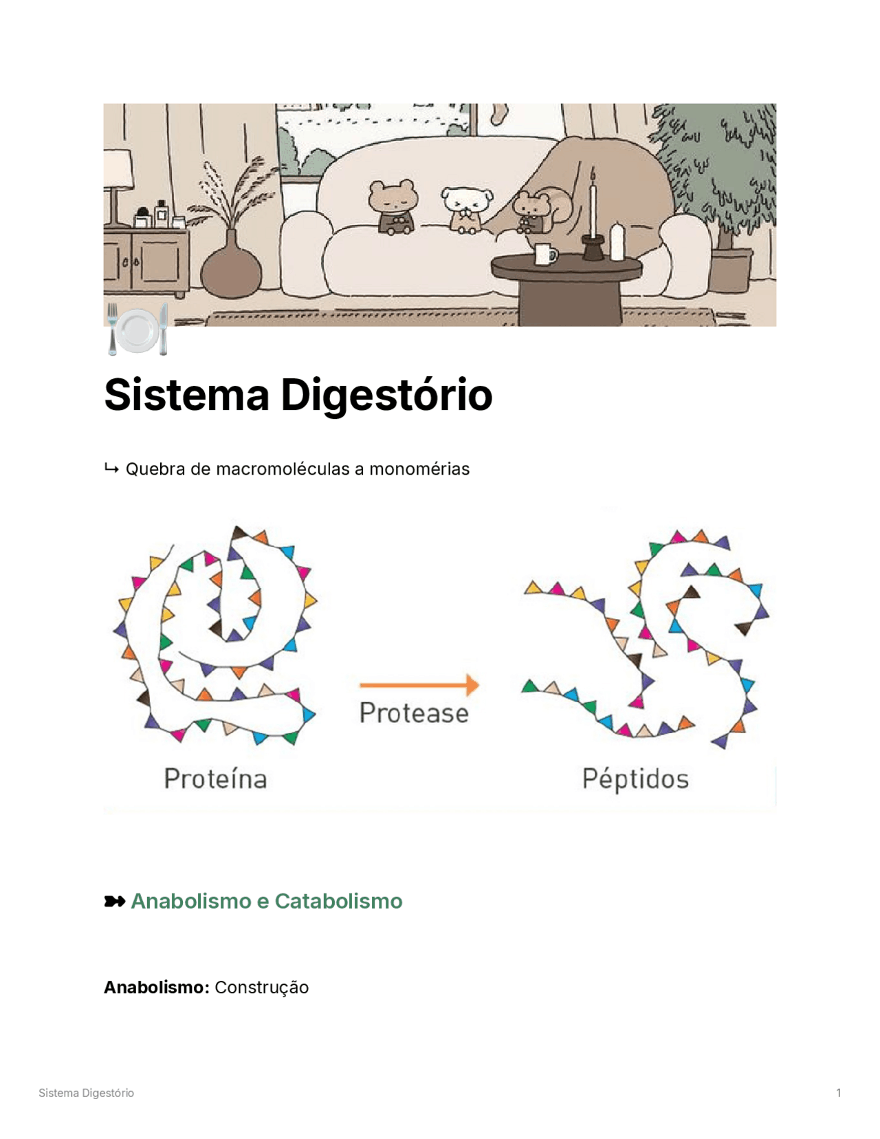 Sistema Digestório: Compreendendo o Processo de Digestão | Esquemas ...
