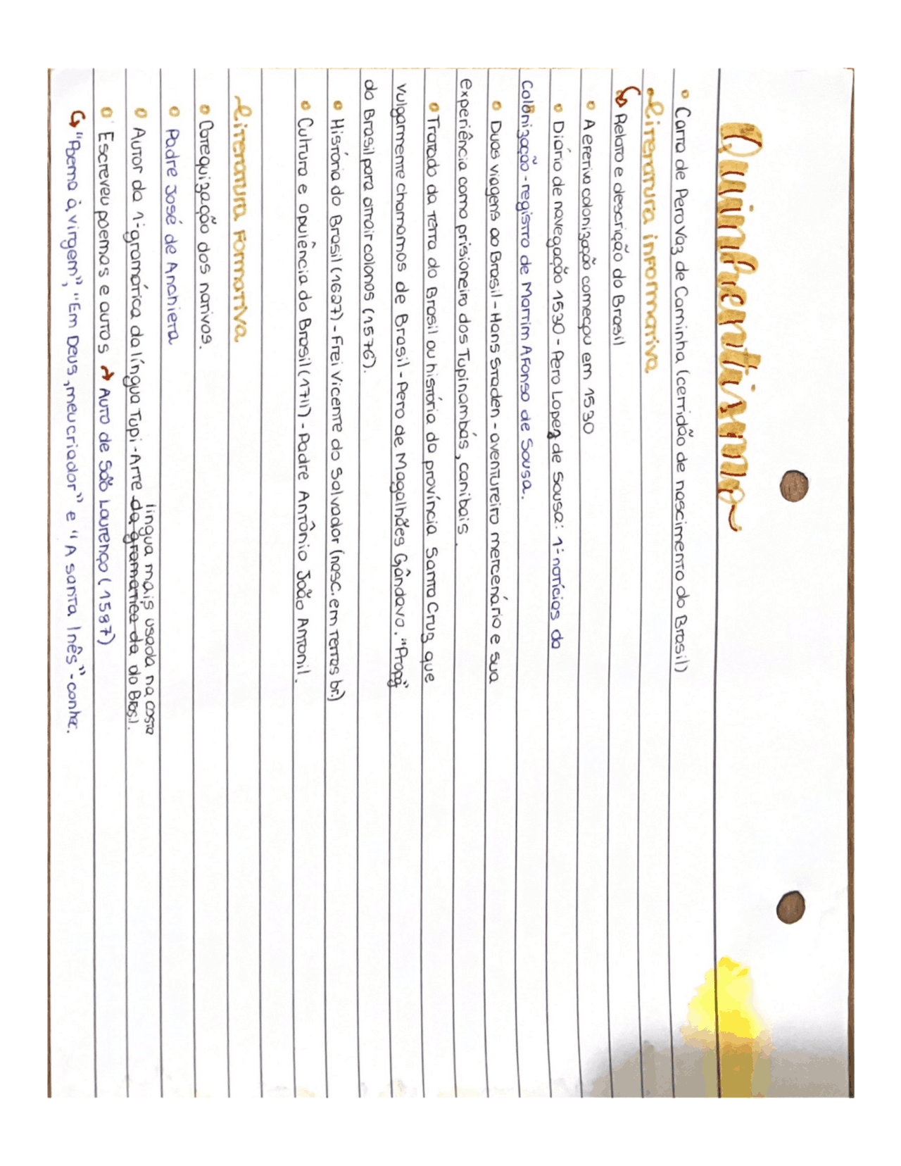 Resumo de Quinhentismo | Resumos Literatura Ensino Médio | Docsity