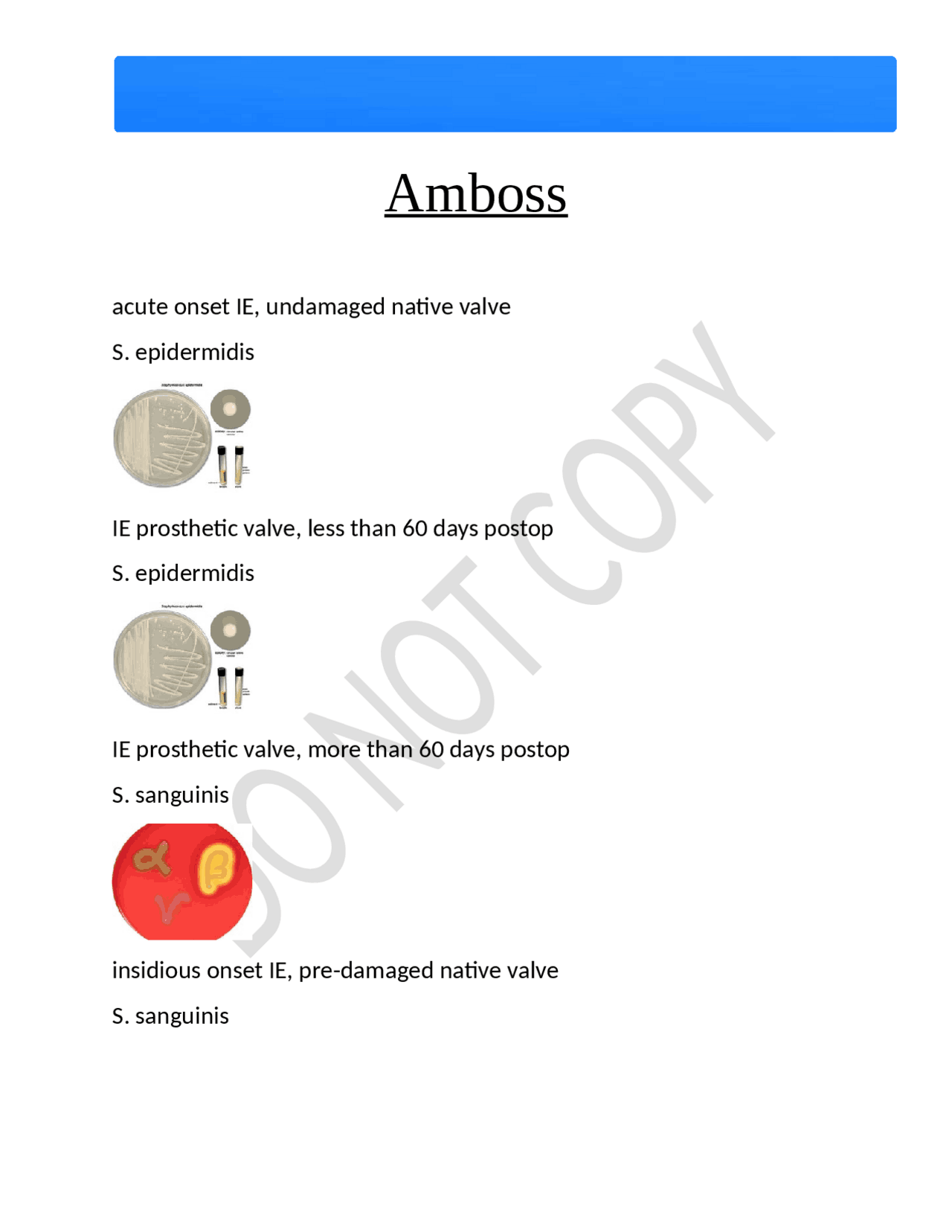 Amboss Detailed Answer Test 2024/2025 | Exams Nursing | Docsity