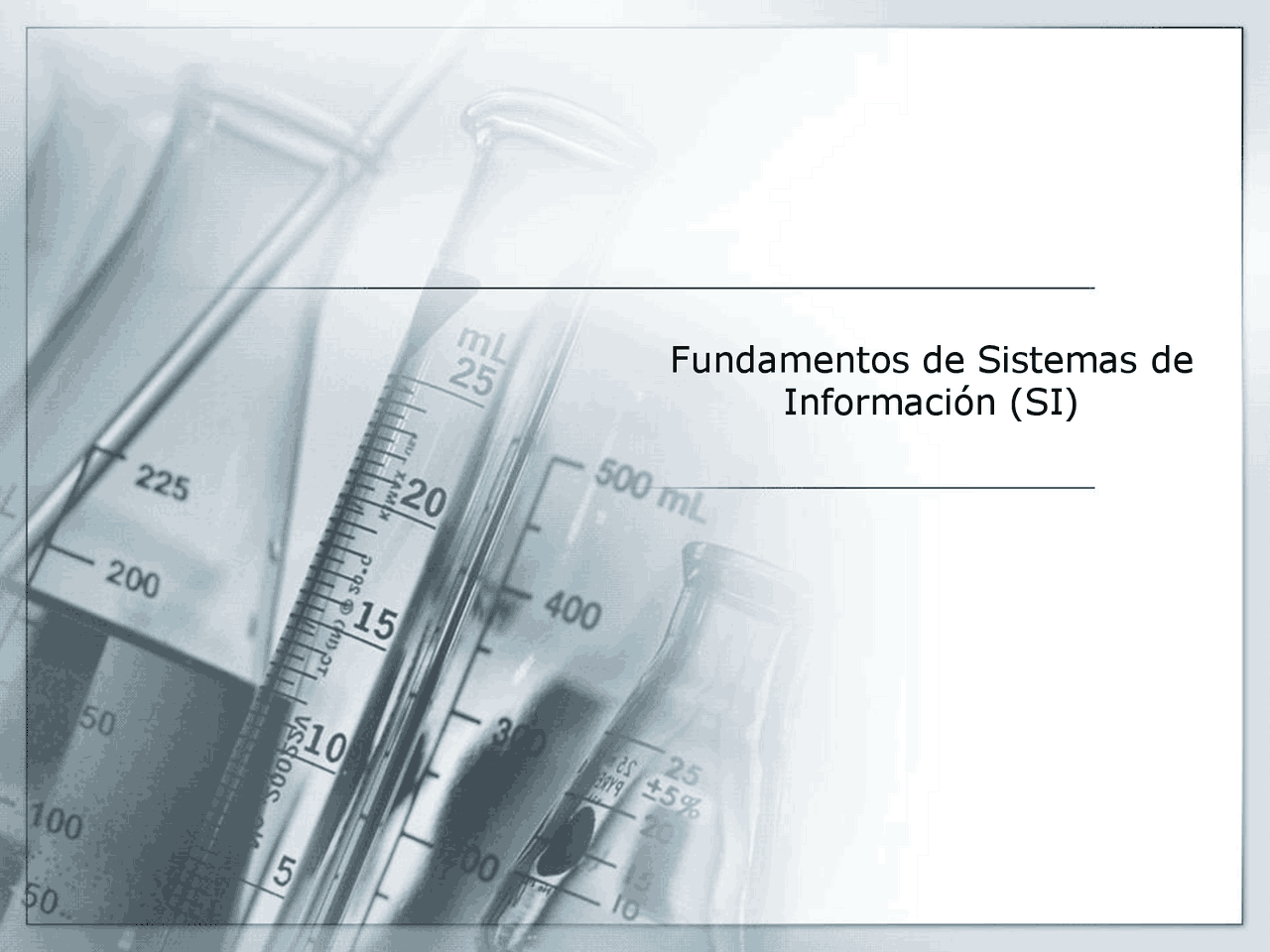 SISTEMAS DE INFORMACIÓN N | Summaries Computer science | Docsity