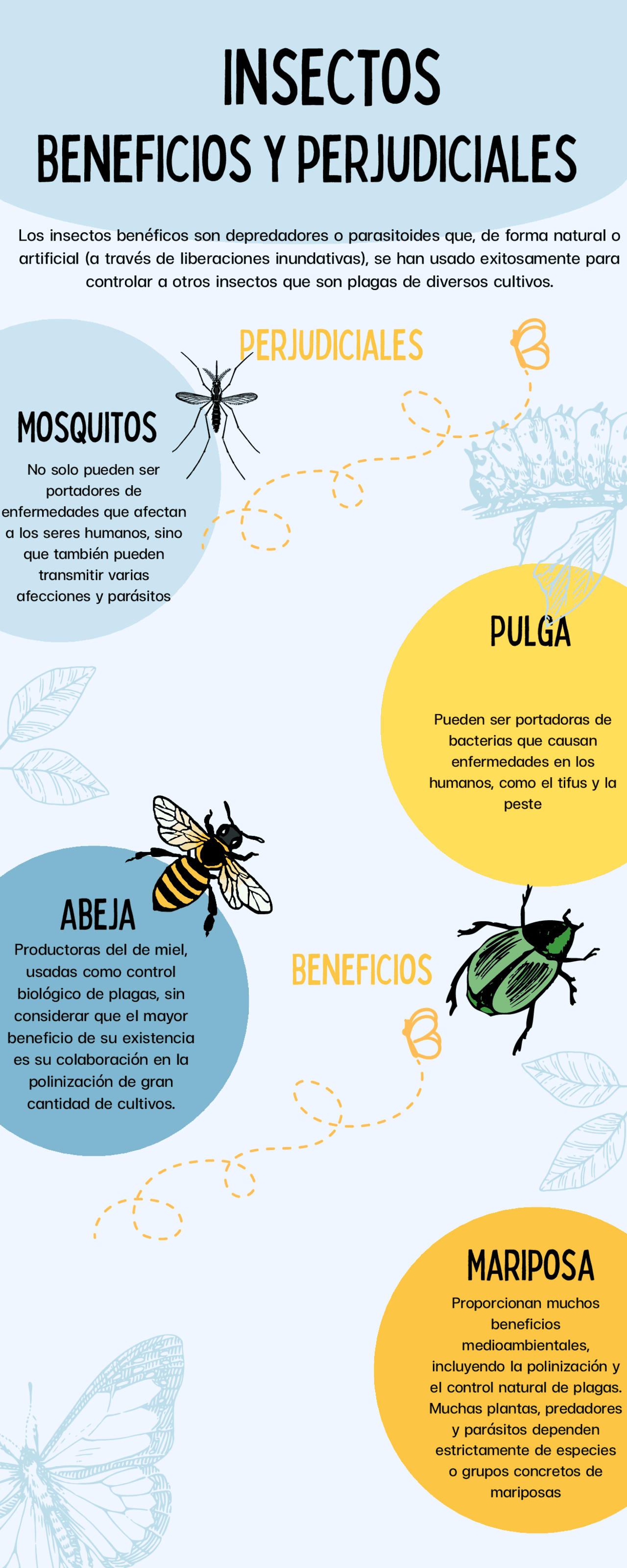Insectos Benéficos