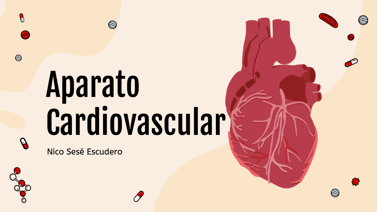 Anatomía Del Sistema Cardiovascular Ppt SISTEMA CARDIOVASCULAR By