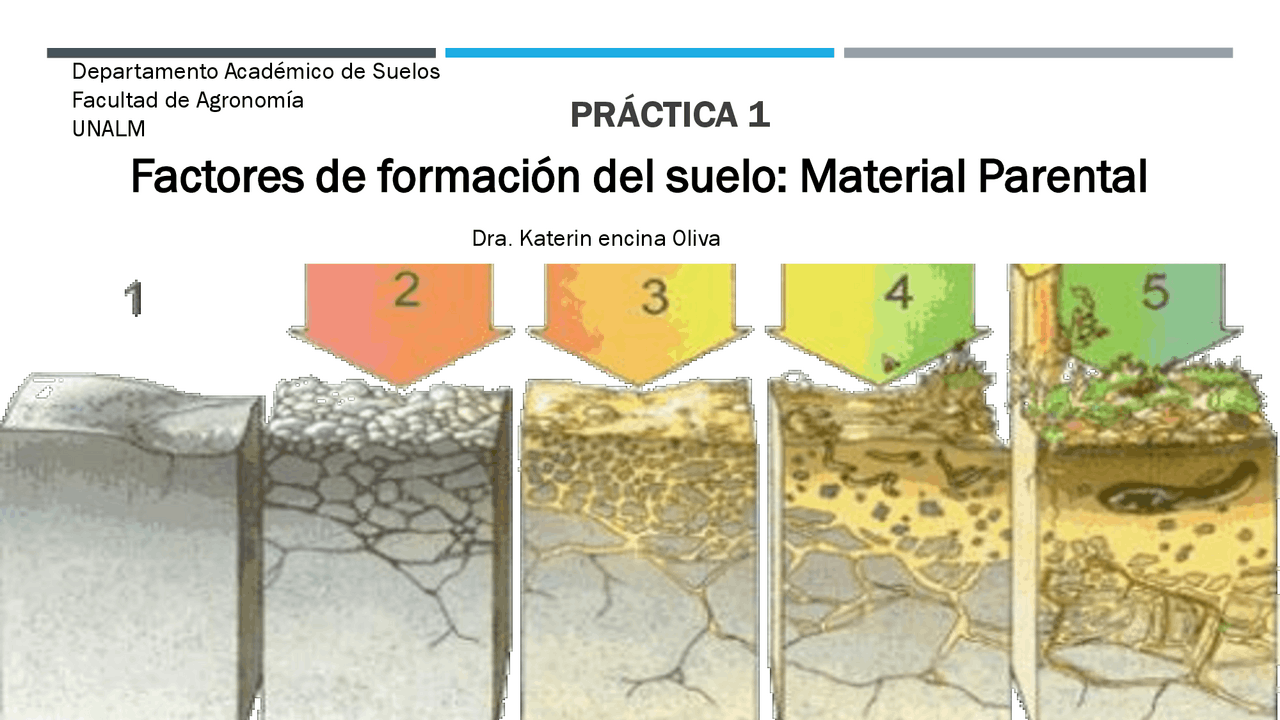 Capa De Material Parental Del Suelo Los Suelos | Prof Cesar Rodriguez