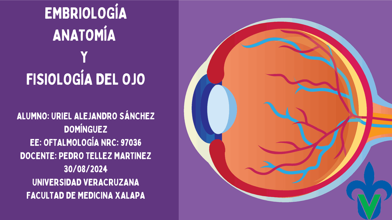 Embriologia, anatomía y fisiología del ojo | Diapositivas de ...