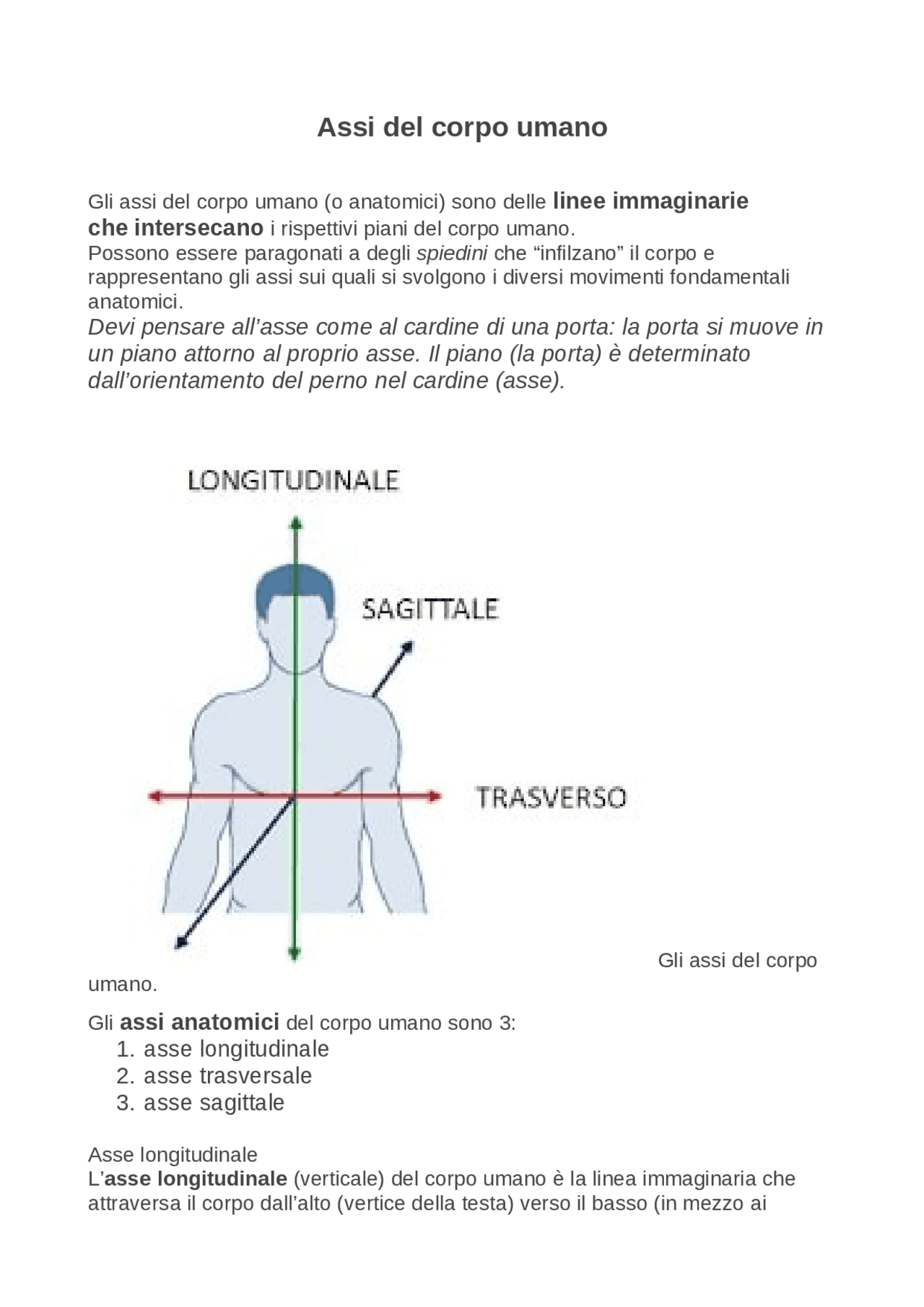 Assi e Piani del Corpo Umano: Anatomia del Movimento | Esercizi di ...