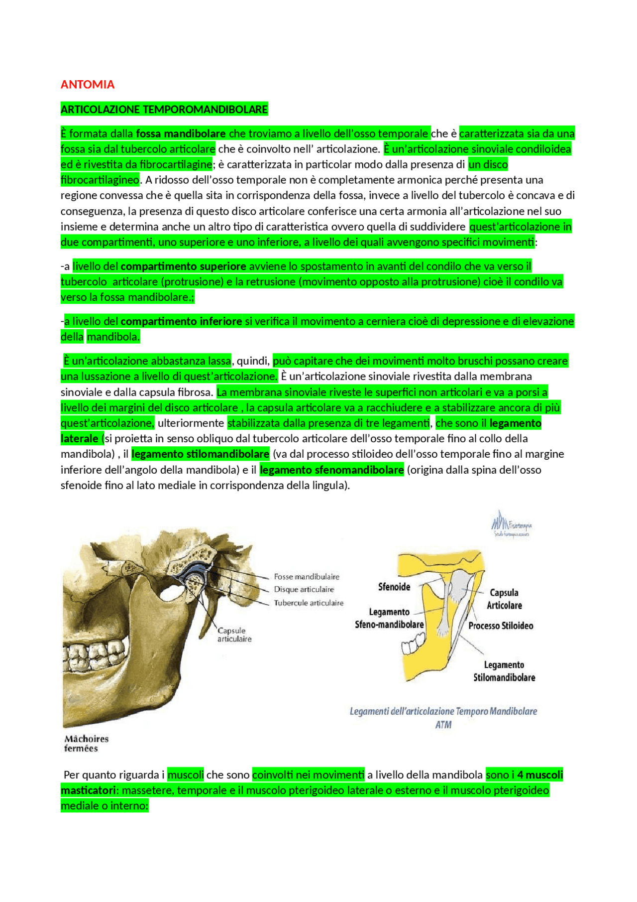 Anatomia dell'Articolazione Temporo-Mandibolare e del Collo ...