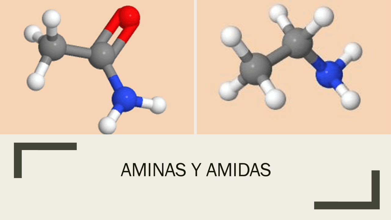 Aminas y Amidas: Estructura, Nomenclatura, Propiedades y Aplicaciones | Diapositivas de Química ...