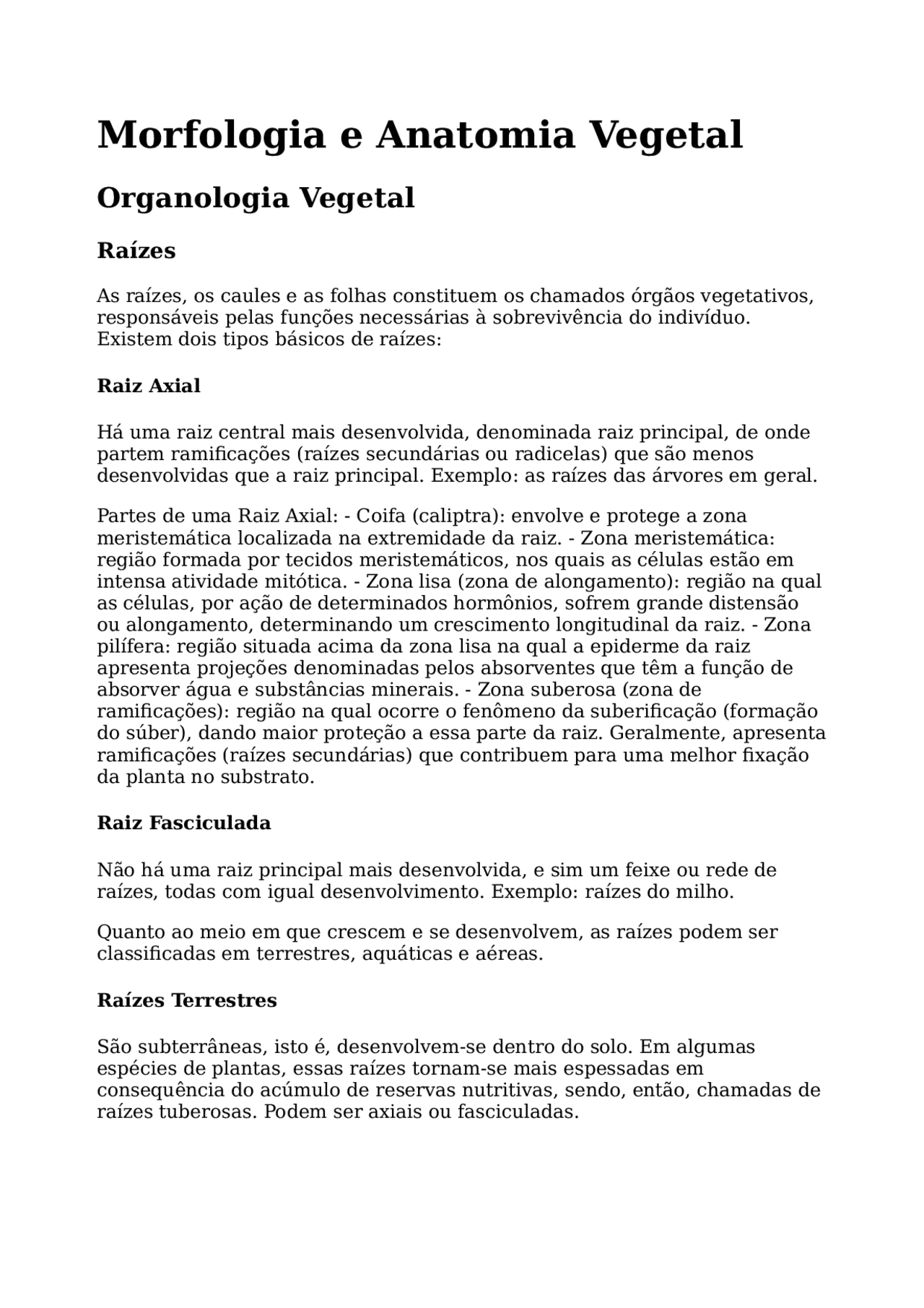 Morfologia e Anatomia Vegetal: Uma Abordagem Completa dos Órgãos ...