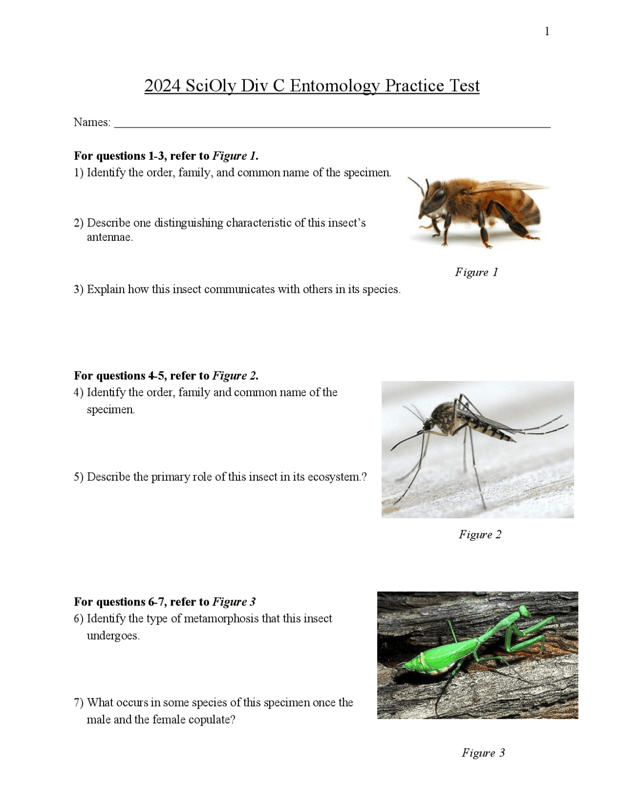Scioly Div C Entomology Practice Test: Insect Identification and ...