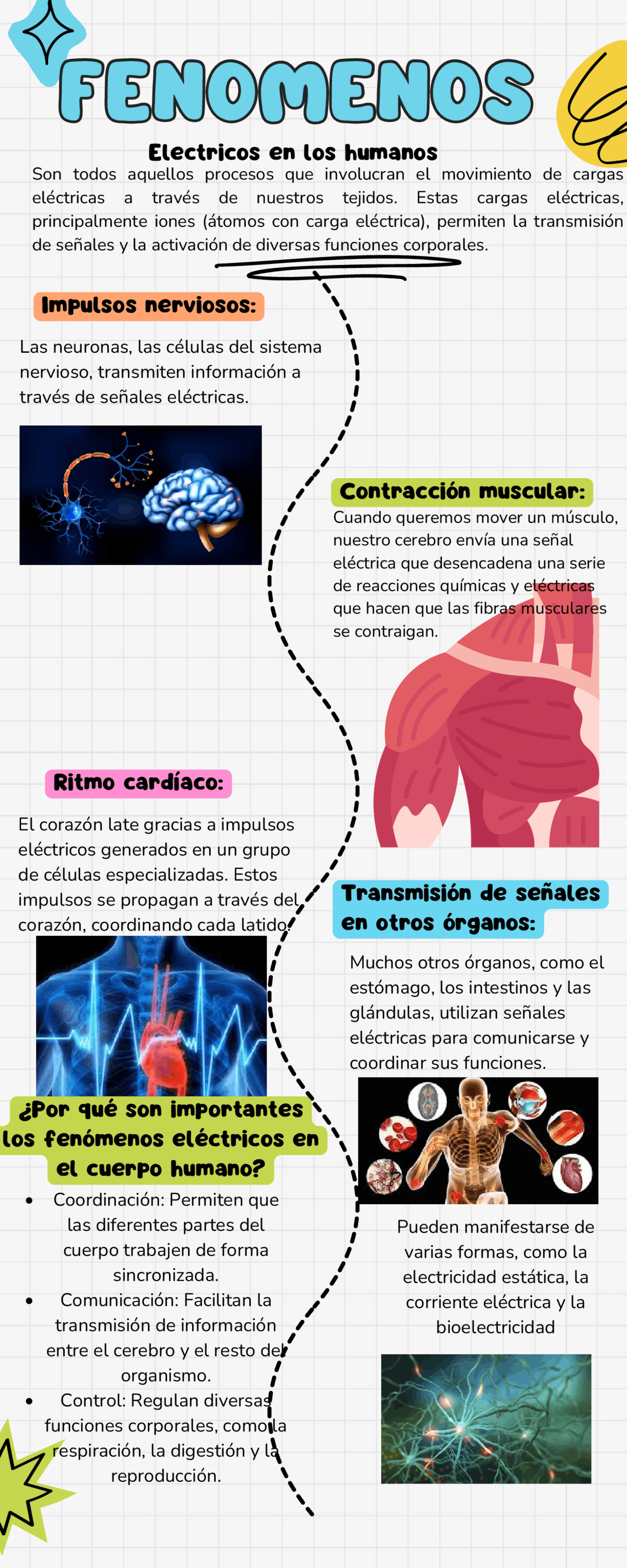 FENOMENOS FISICOS EN HUMANOS | Schemes and Mind Maps Quantum Chemistry ...