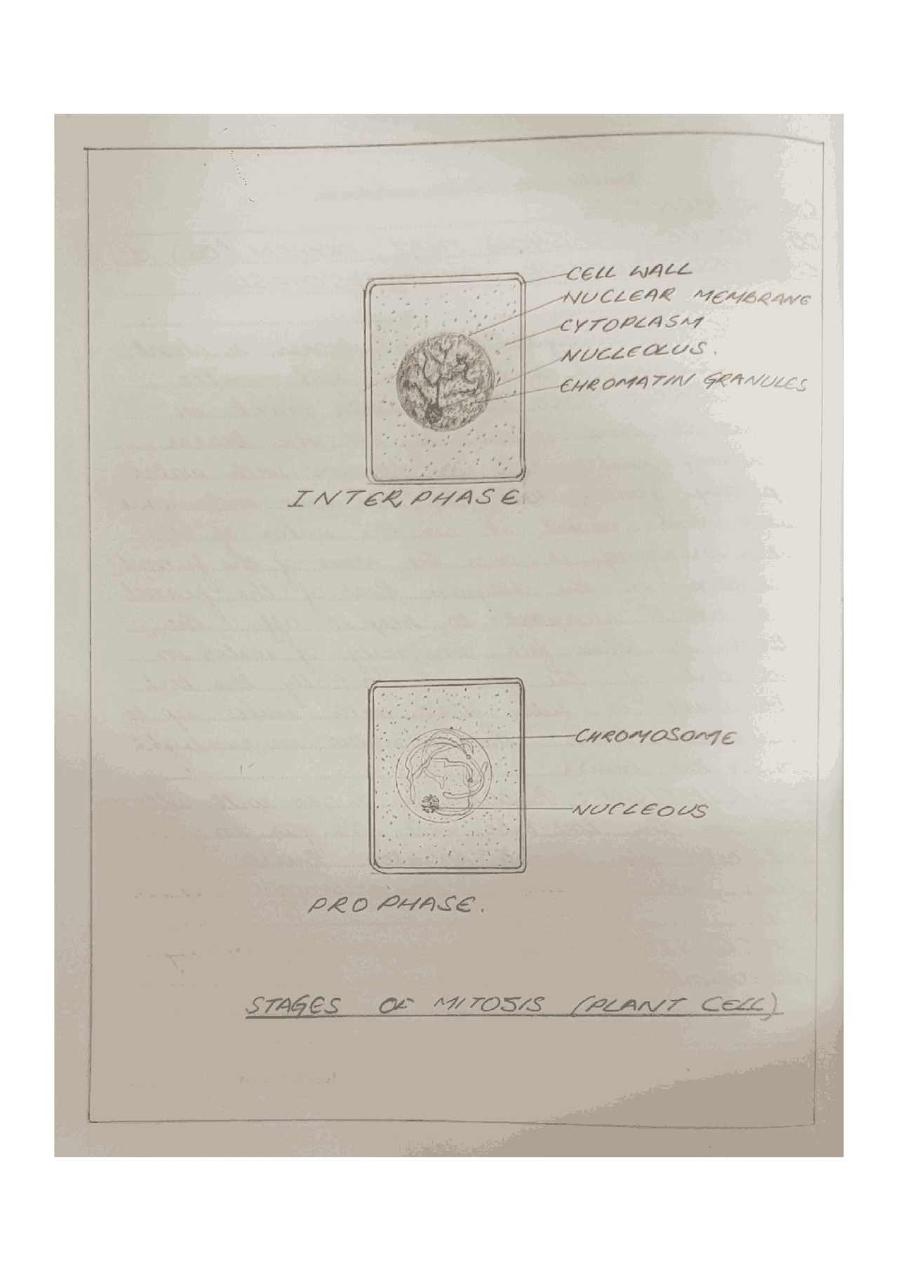 Biology Practical Copy (Part II) – 7 Experiments | Lecture notes ...