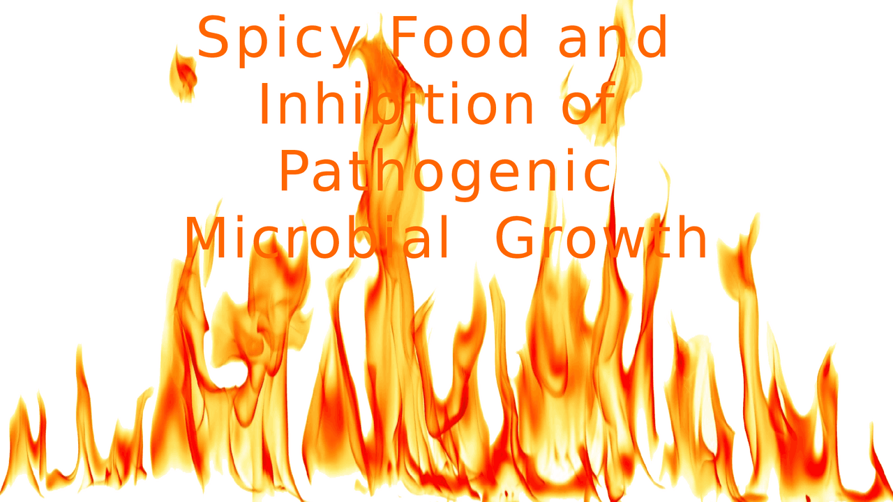 BIOL202 Week 7 Project; Spicy Food and Inhibition of Pathogenic ...