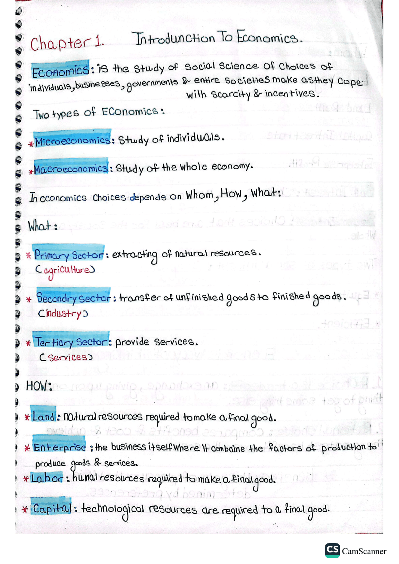 Introduction to economics | Lecture notes Economics | Docsity