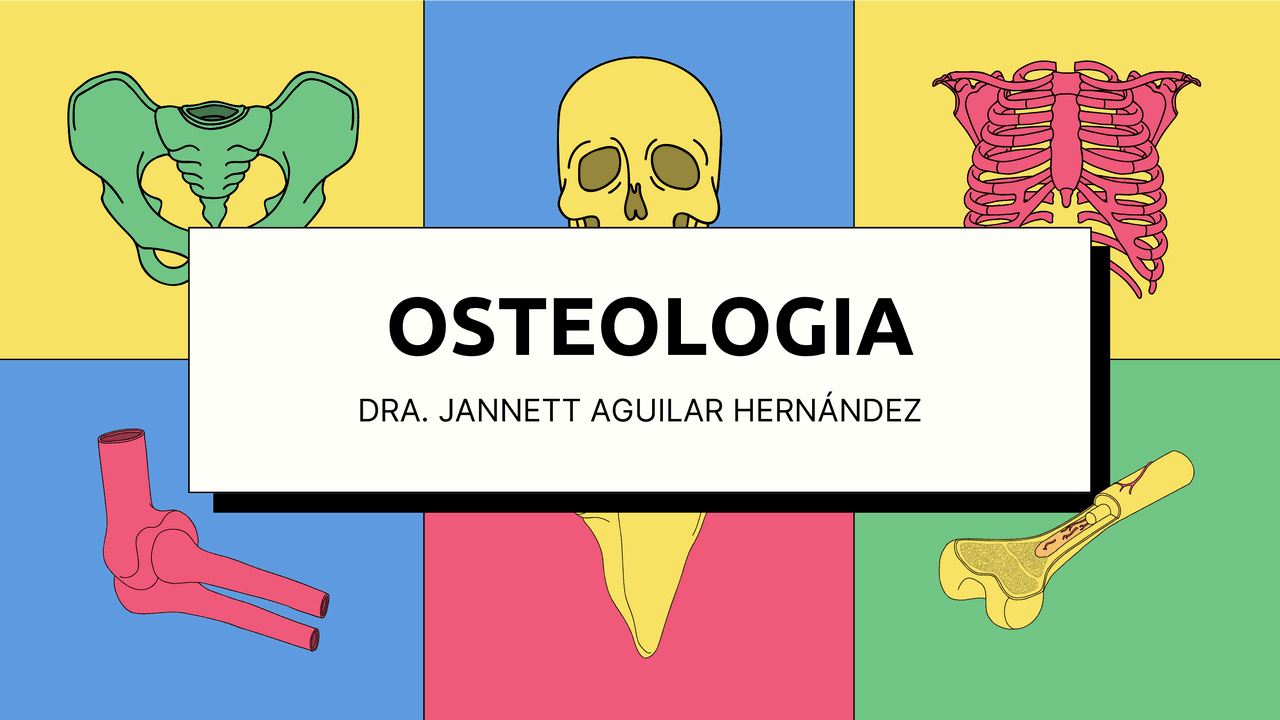 Osteology: Structure and Function of Bones | Schemes and Mind Maps ...