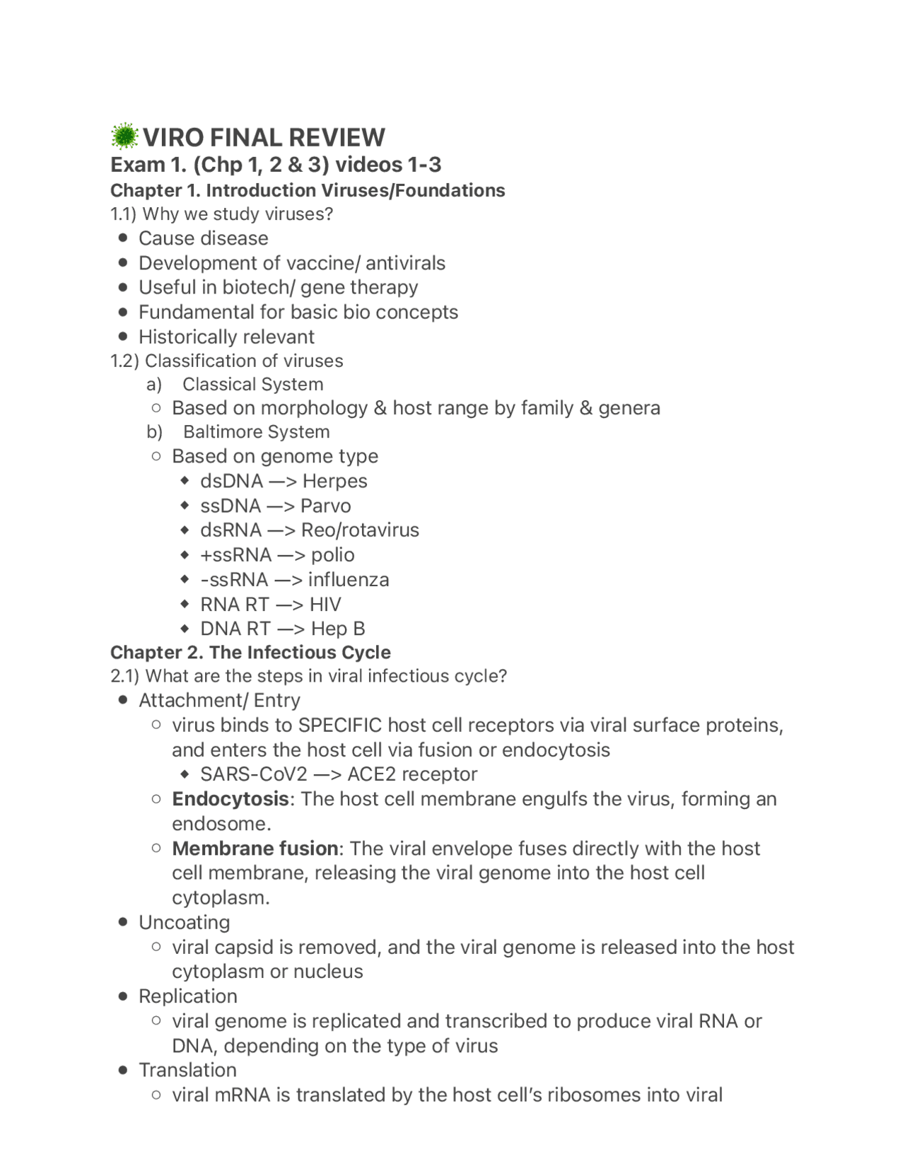 Viral Replication: A Guide to Host Cell Interactions | Study notes ...