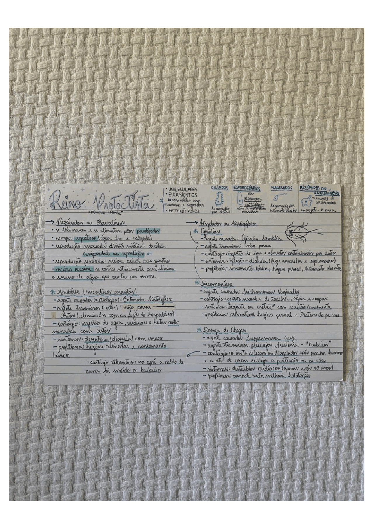 Biologia - Todas as matérias para o Vestibular/Enem | Resumos Biologia ...