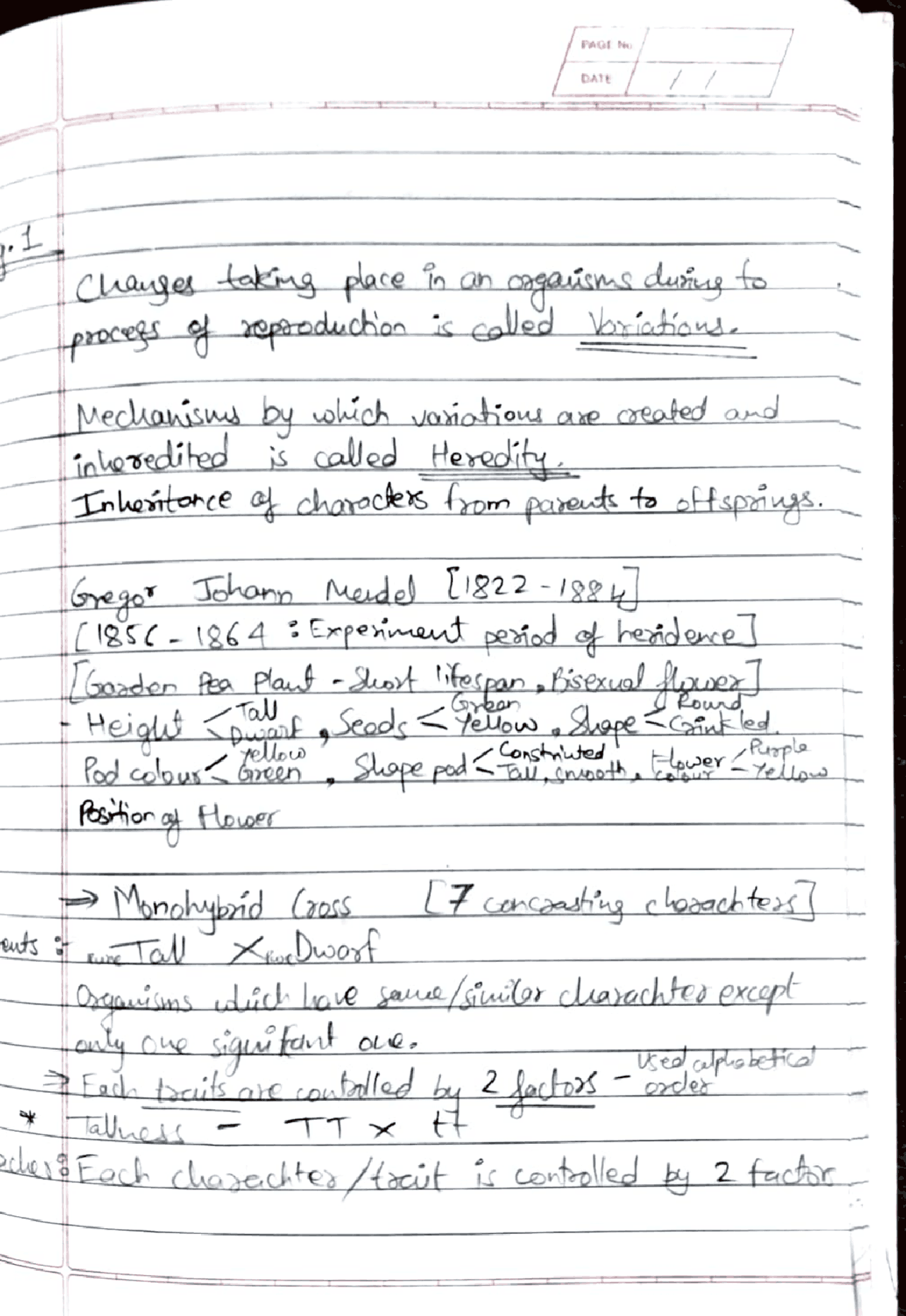 Genetics: Understanding Heredity and Traits | Schemes and Mind Maps ...