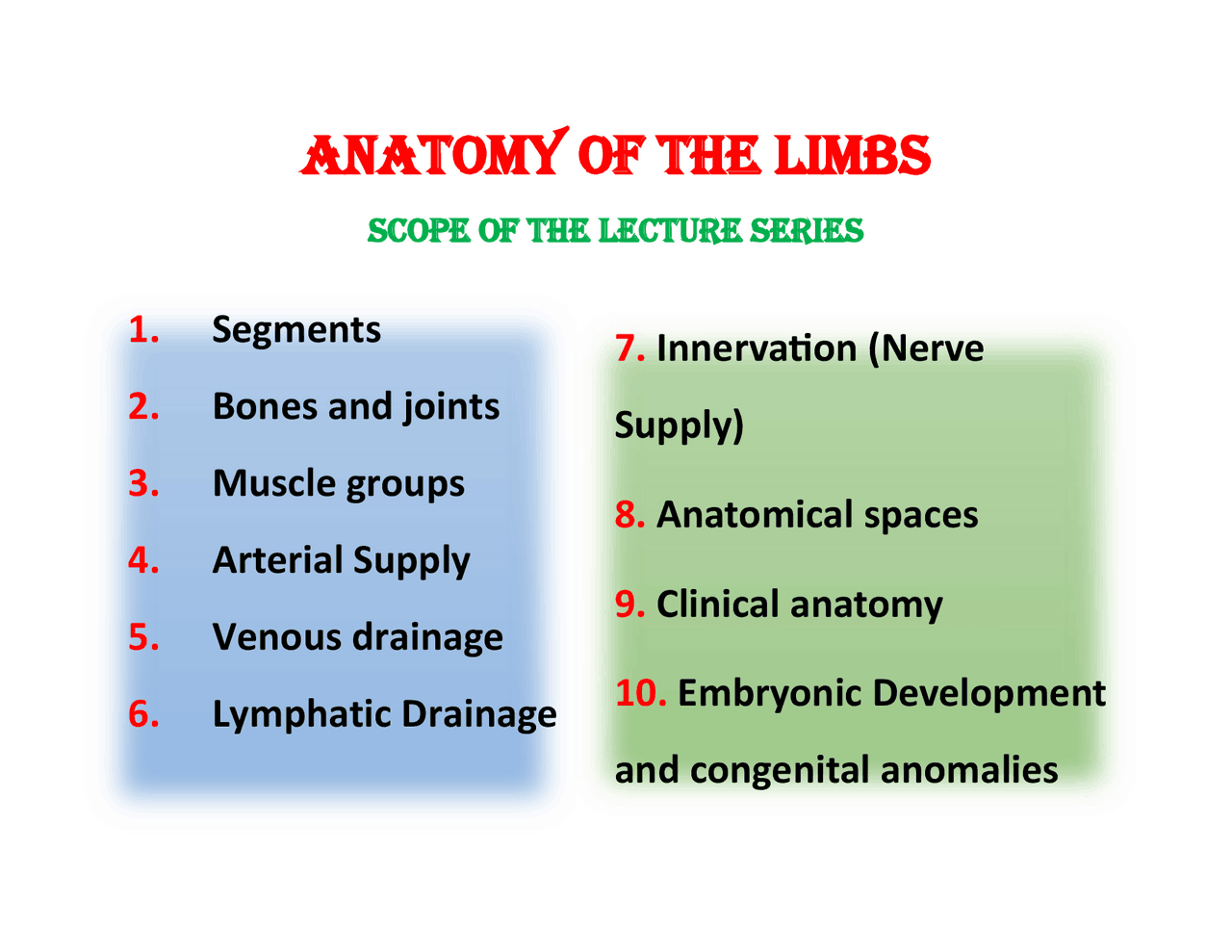 Anatomy of the Limbs: A Comprehensive Study Guide | Schemes and Mind ...