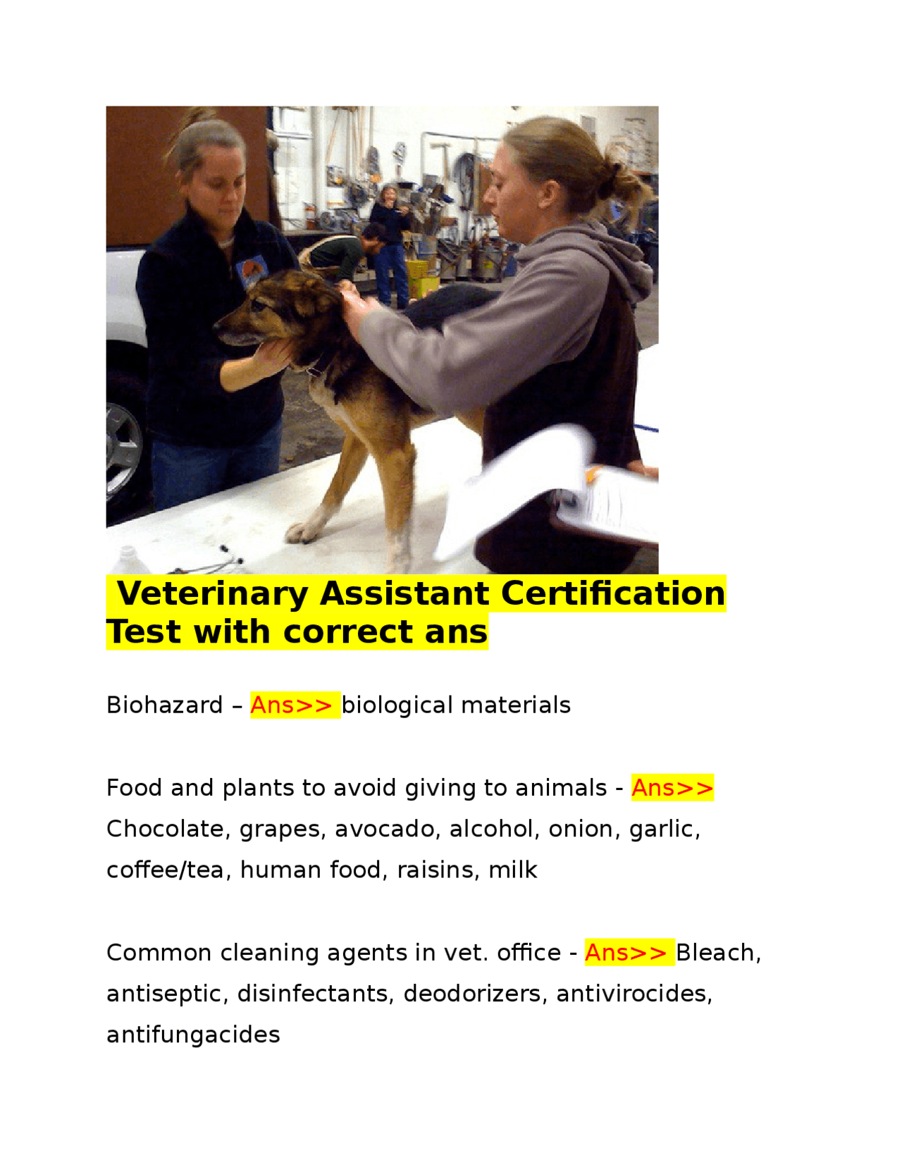 Veterinary Assistant Certification Test: Key Concepts and Terminology ...