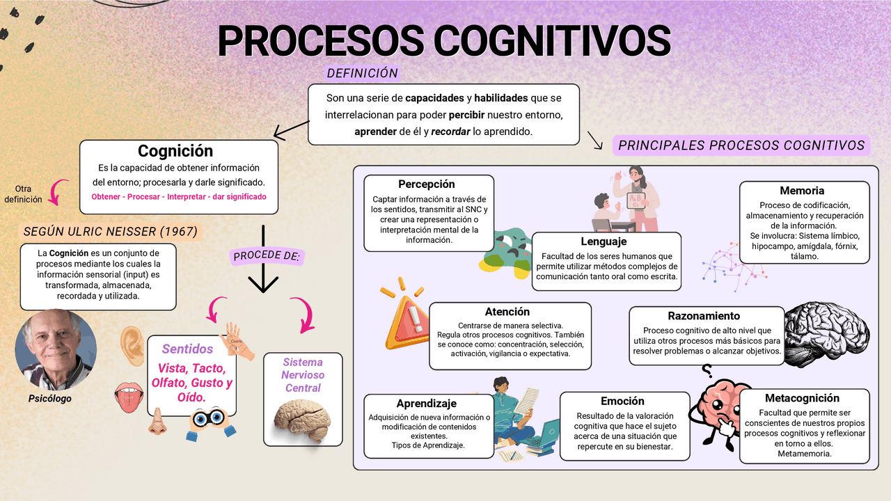 Organizador gráfico de los procesos cognitivos básicos y la cognición ...