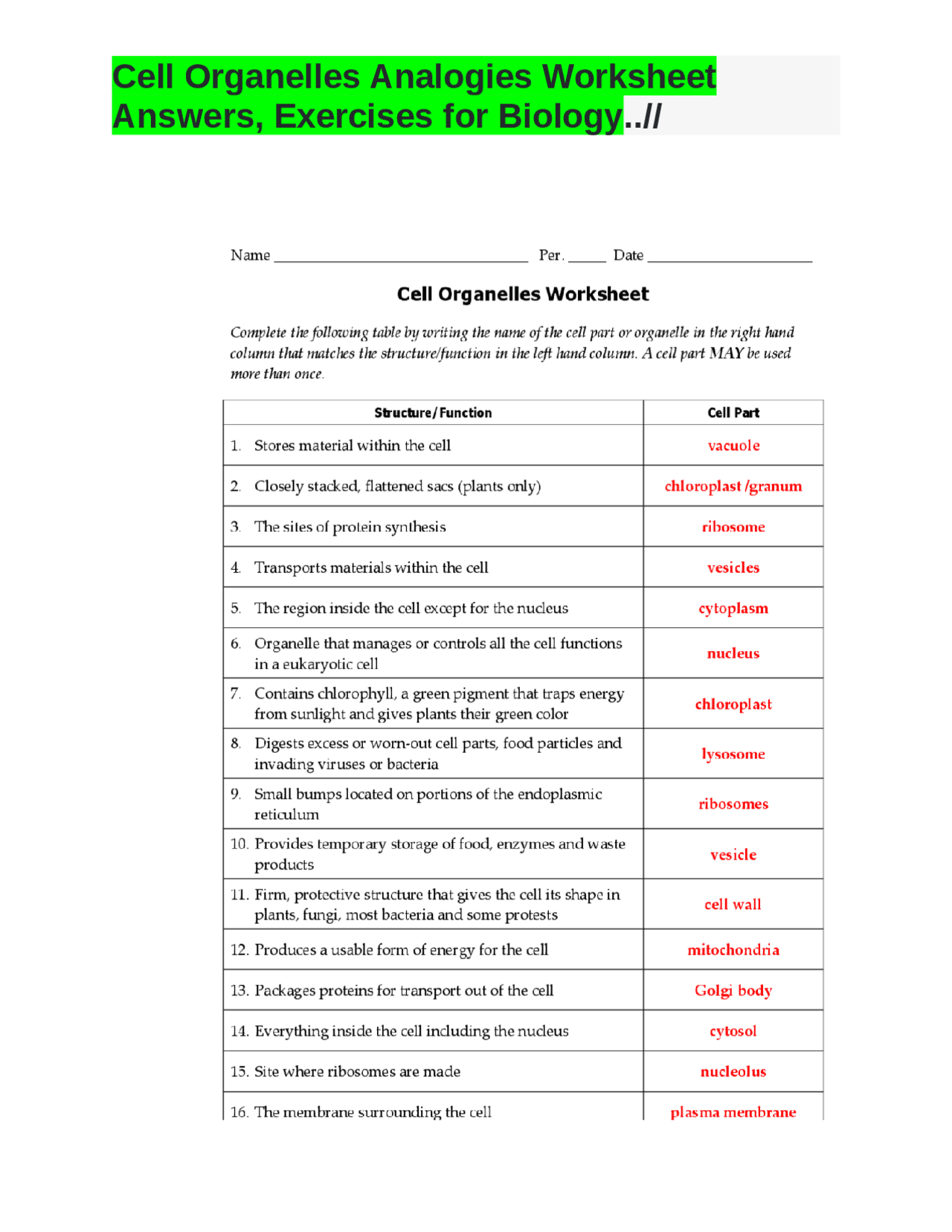 Cell Organelles Analogies Worksheet Answers, Exercises for Biology ...