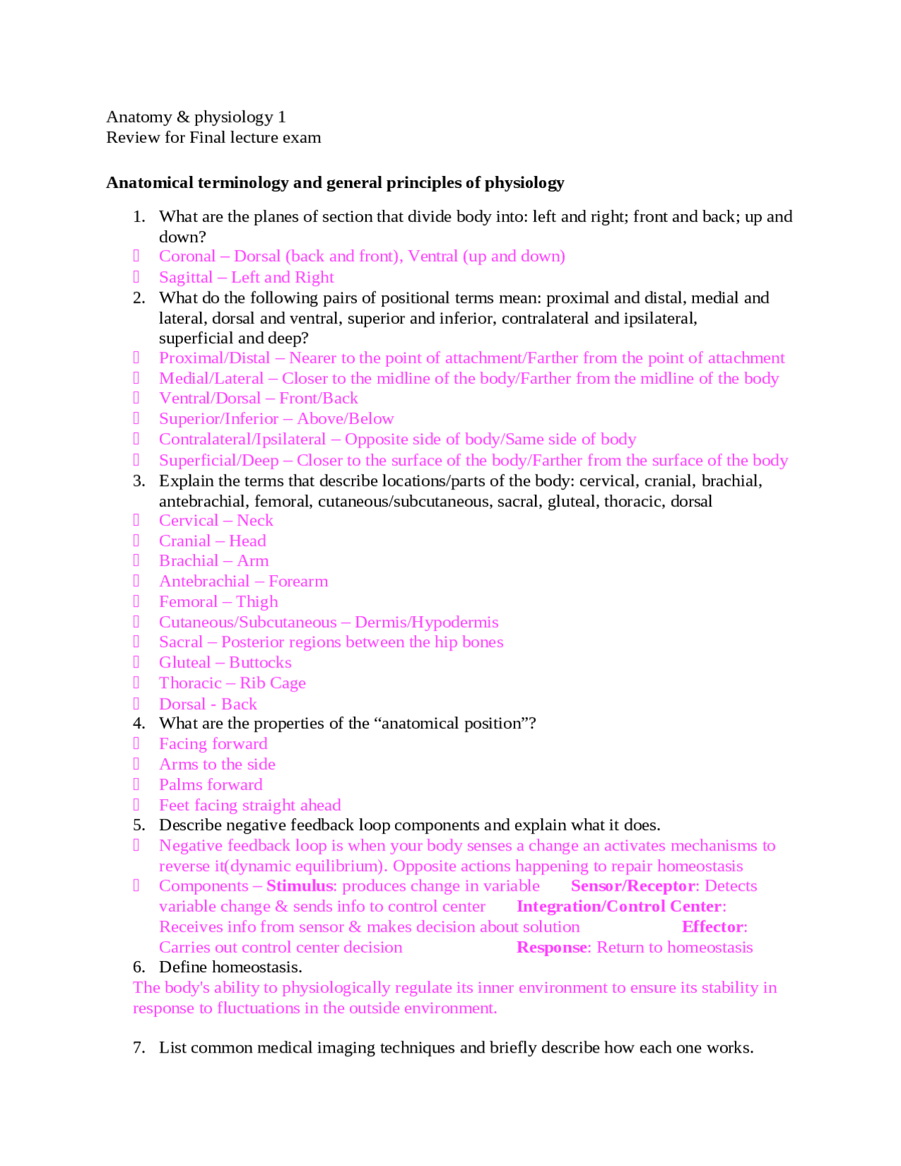 Human Anatomy and Physiology Study Guide: Cells, Tissues, and Bones ...