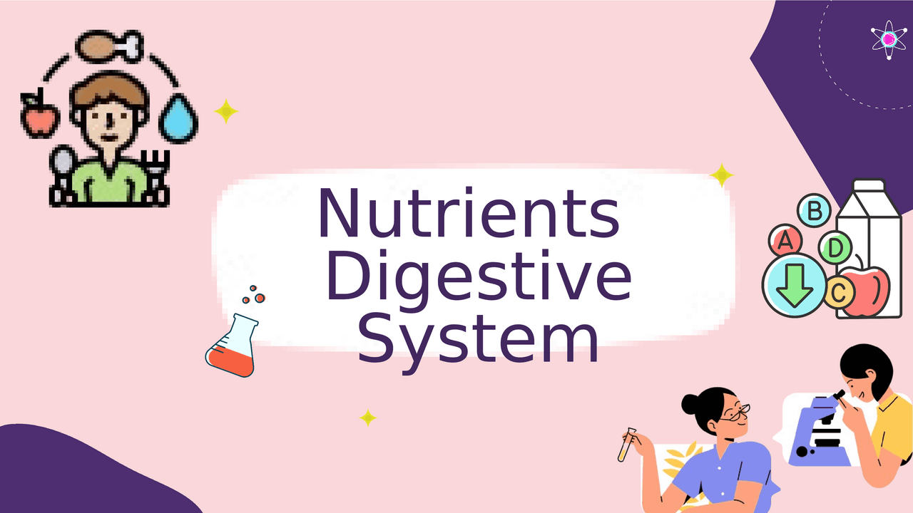 Nutrients and Digestive System | Slides Environmental science | Docsity