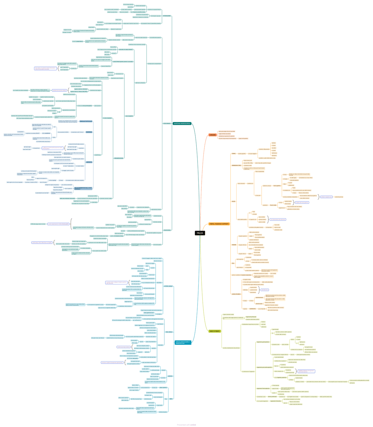 Anatomia della Milza: Struttura, Funzioni e Vascolarizzazione | Schemi ...