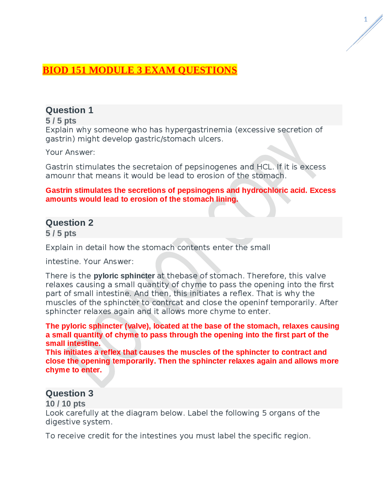 BIOD 151 Module 3 Exam Questions: Digestive System | Exams Nursing | Docsity