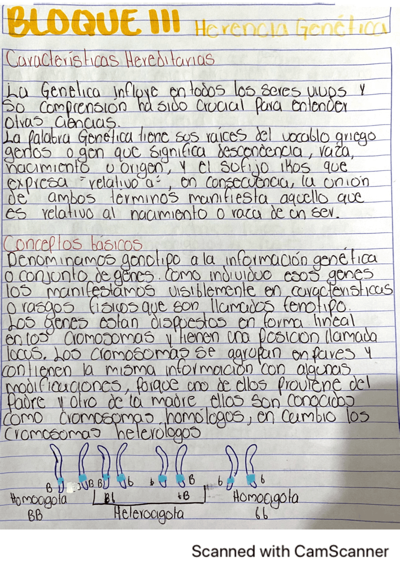 Herencia Genética Bloque 3 | Study Guides, Projects, Research Biology | Docsity