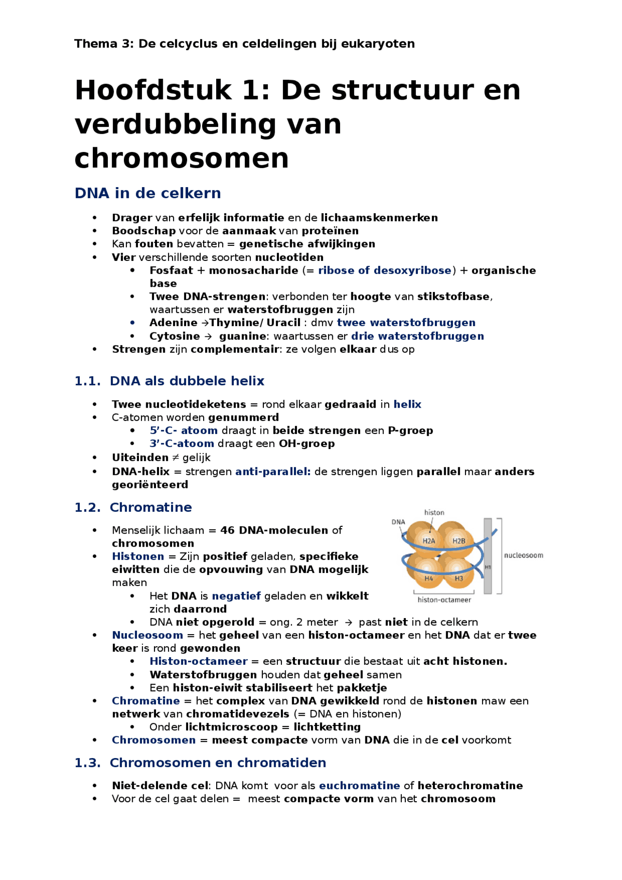 De structuur en verdubbeling van chromosomen | Summaries Biology | Docsity