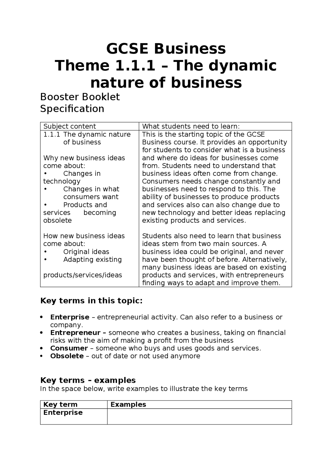 GCSE Business Theme 1.1.1: The Dynamic Nature of Business - Booster ...