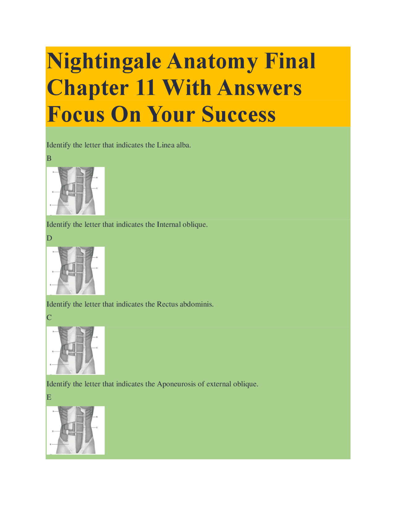 Nightingale Anatomy Final Chapter 11 With Answers Focus On Your Success ...