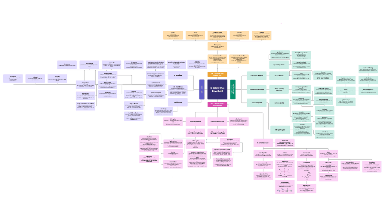 hon biology flowchart | Schemes and Mind Maps Biology | Docsity