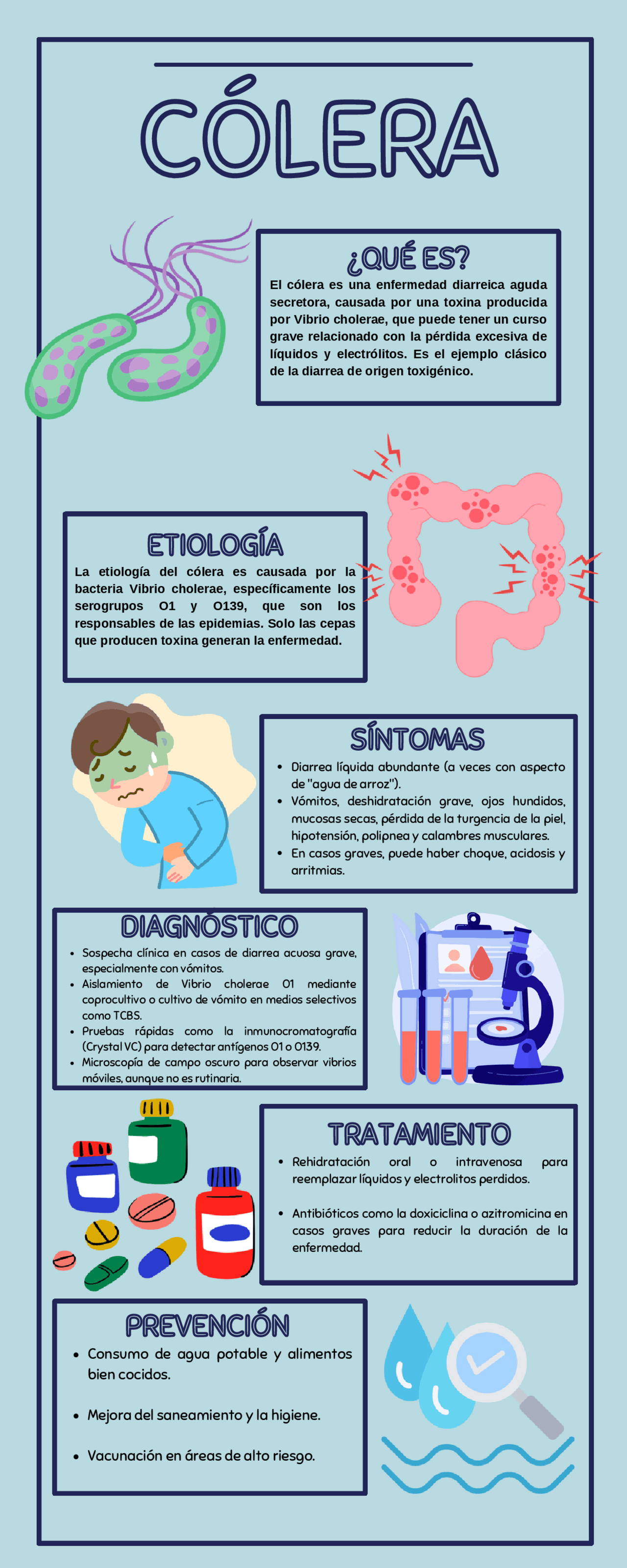 Enfermedad Del Cólera