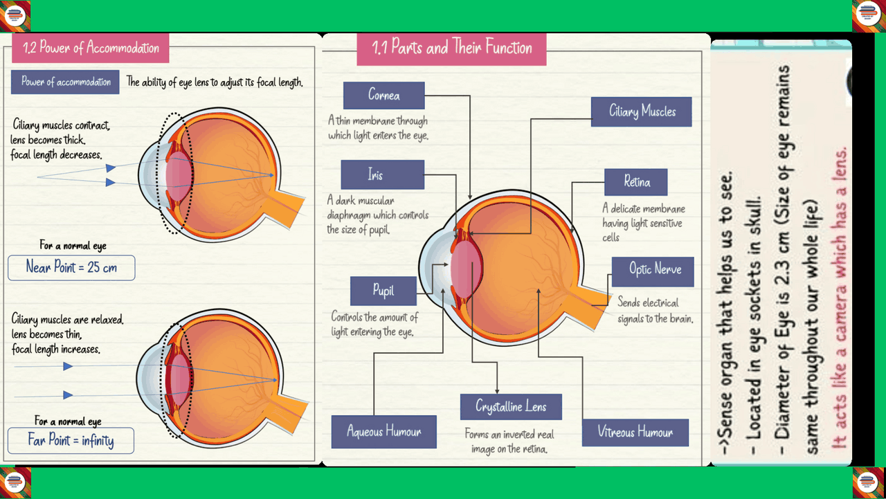 HUMAN EYE FOR ALL IN EASY WAY | Schemes and Mind Maps Physics | Docsity